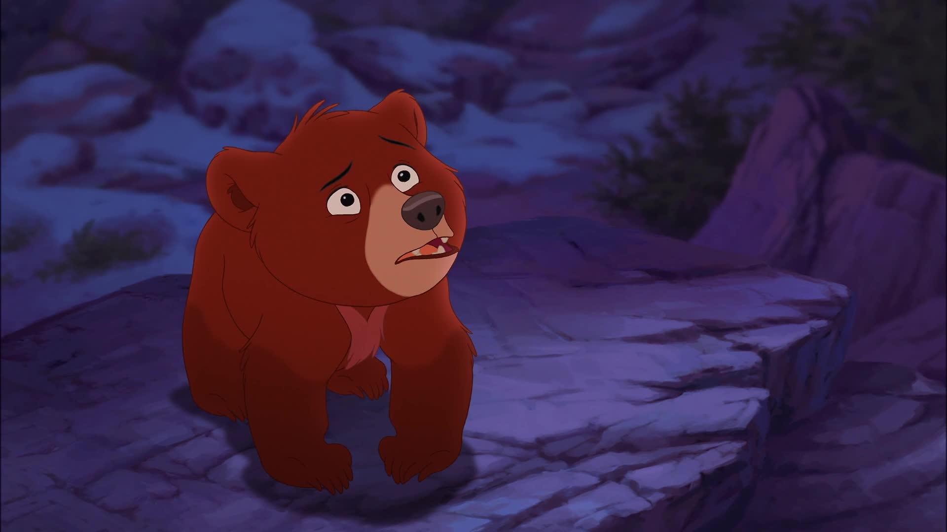 Mom, Kenai's so sad. It's all because of me. I'll be okay on my own ...