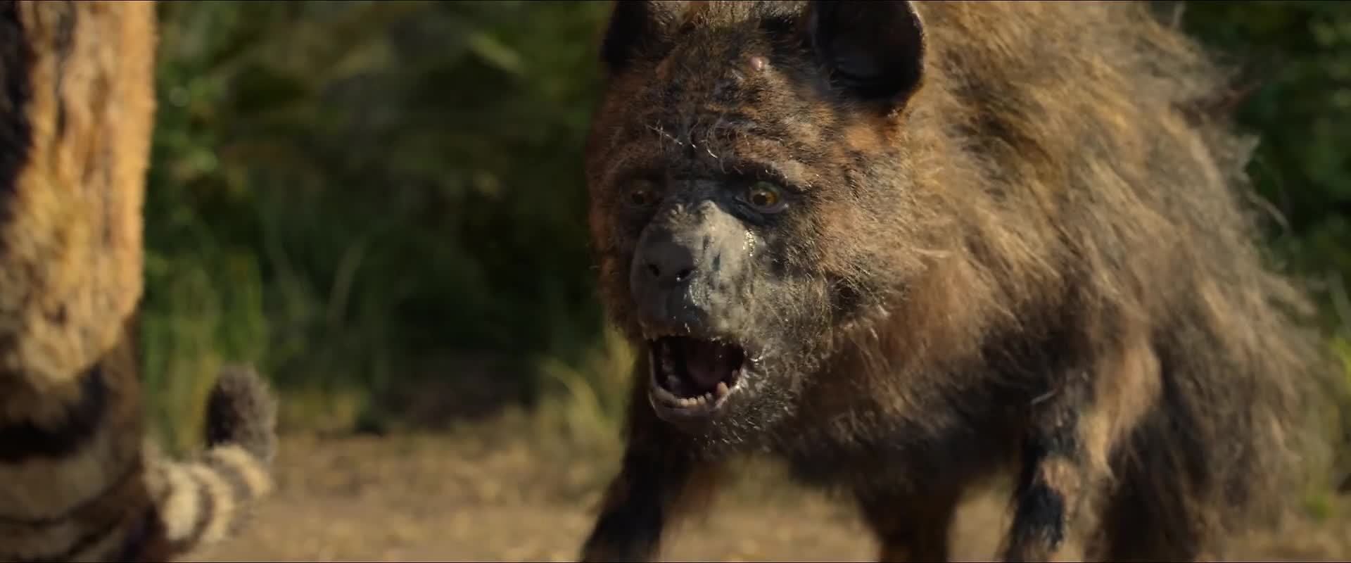 "Mr. Brown! Mrs. Bird. C. And finally E. It works." - Mowgli: Legend of ...