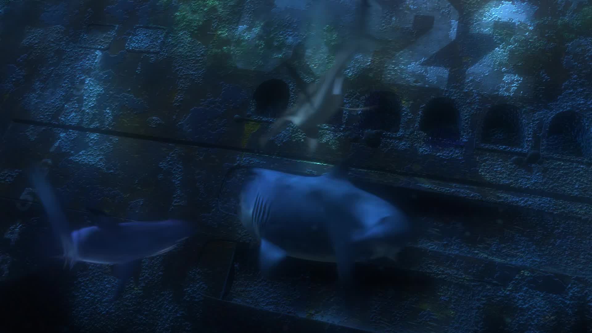 Bubbles. Bubbles. My bubbles. - Finding Nemo | Clip.Cafe