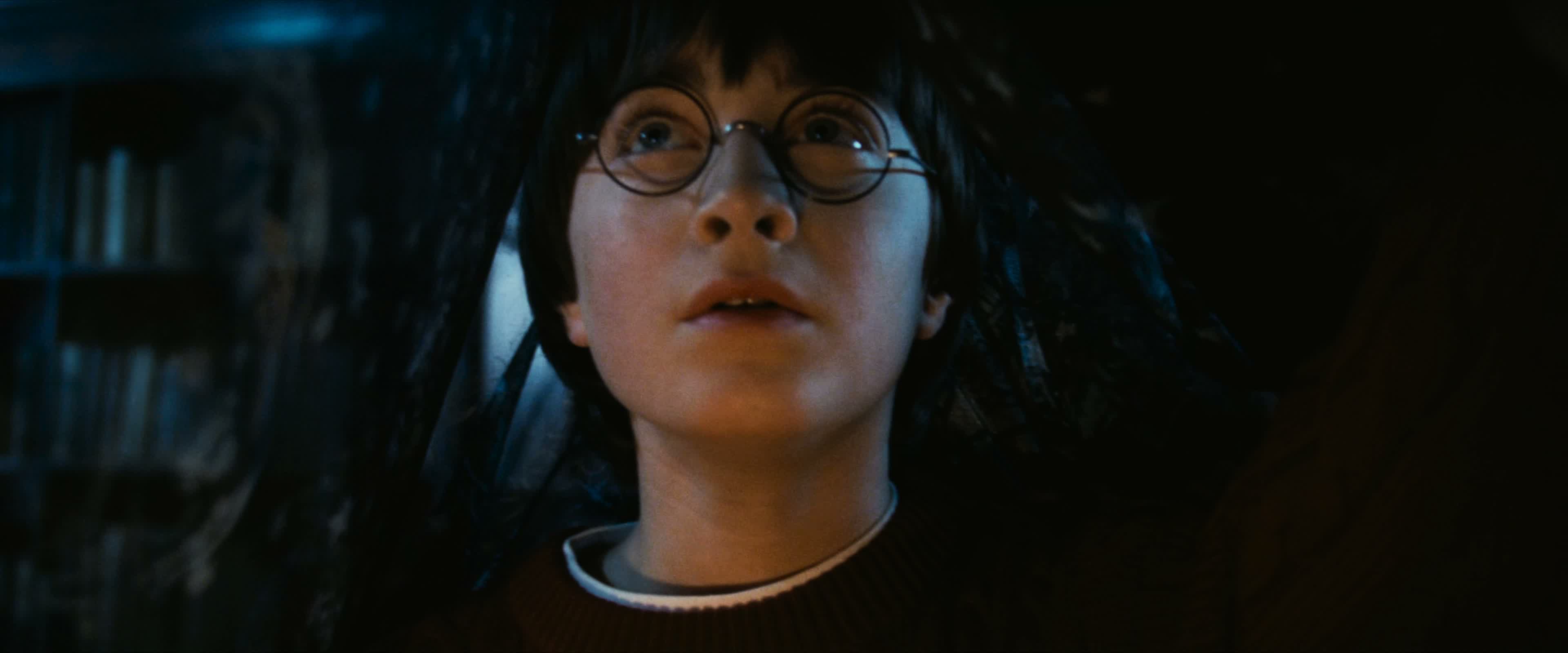 Nicholas Flamel. Who's Nicholas Flamel? - Harry Potter and the Sorcerer ...