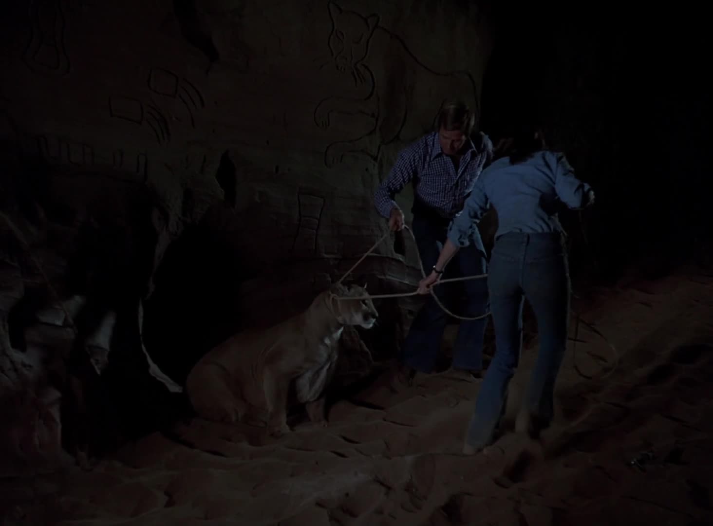 Now all of you... get down off this mountain! - The Six Million Dollar ...