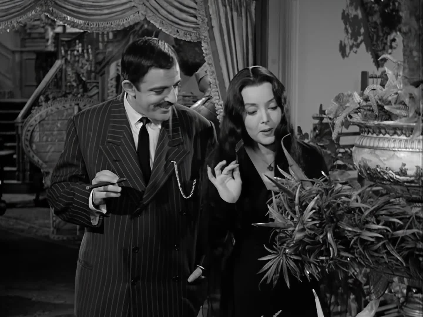 "Now, now, Cleopatra, no gulping. Masticate, masticate. Regular little ...