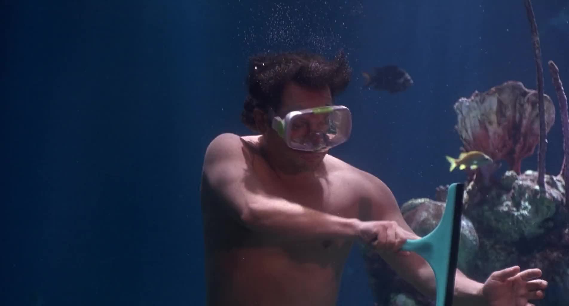 YUCK ! EWW ! SWIM TRUNKS ARE LOADED WITHDETERGENTS AND OTHER ...
