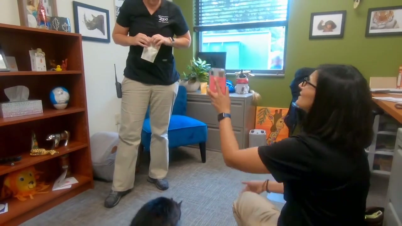 Pepe look here. Pepe! - Secrets of the Zoo | Clip.Cafe