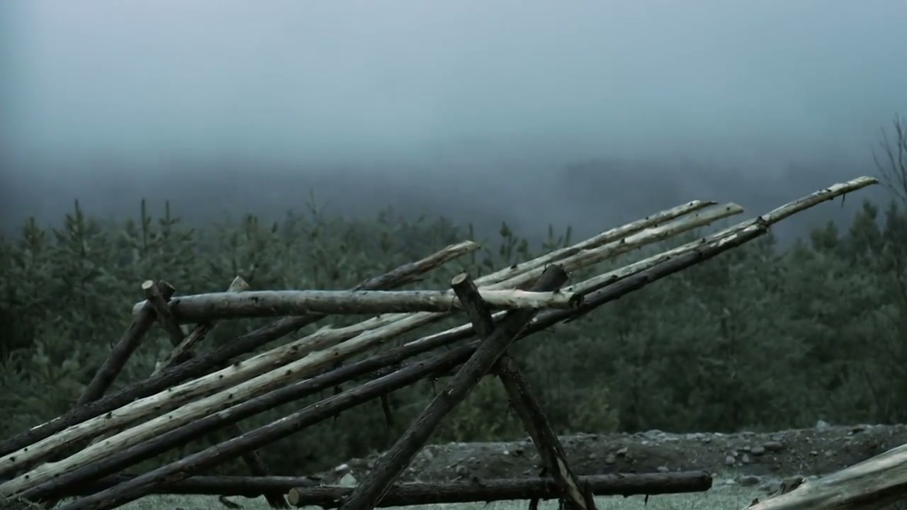 "Pointy branches and treesfelled toward the enemy, sometimes strung ...