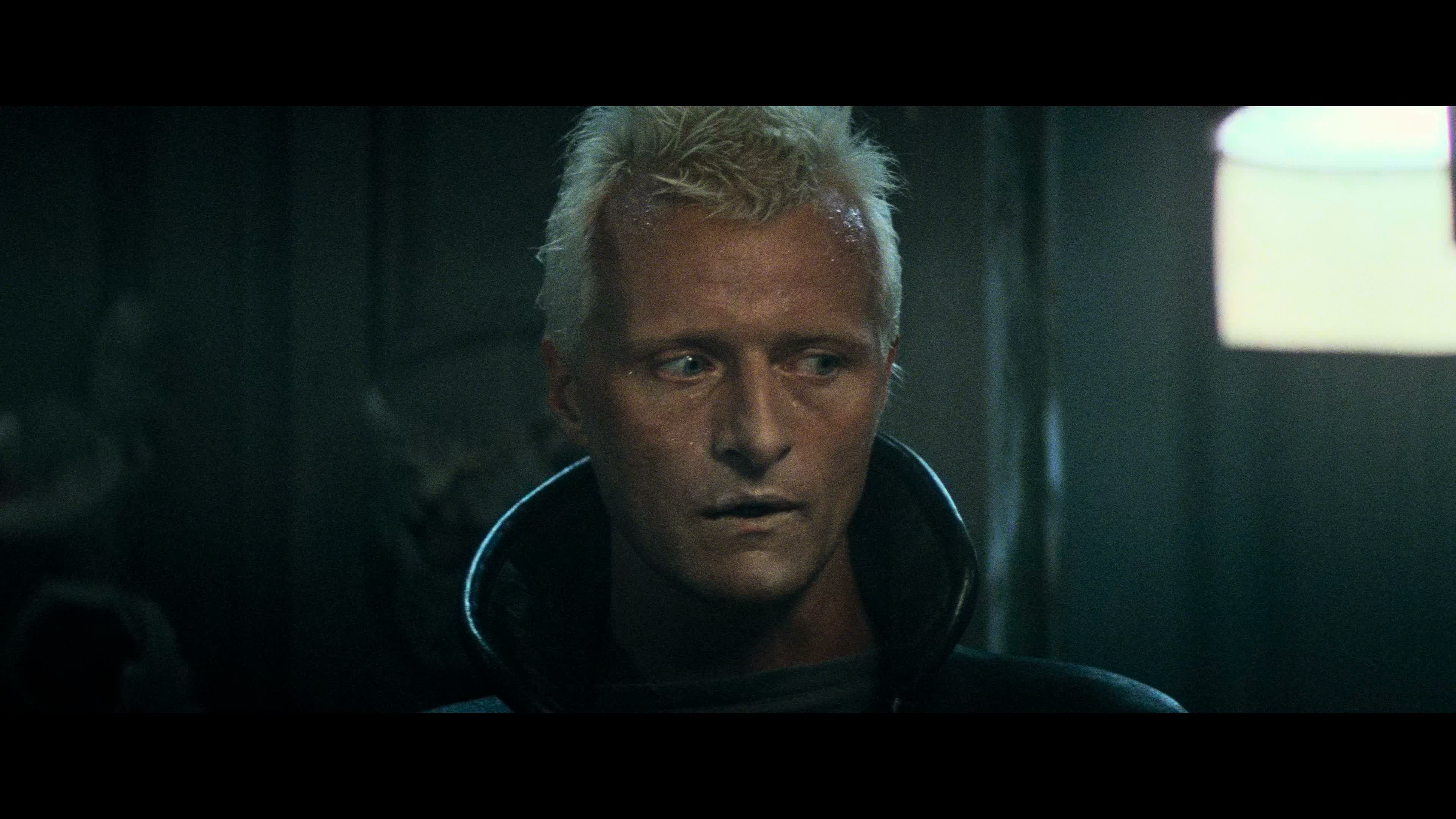 Well? Leonuu what's going on? - Blade Runner | Clip.Cafe