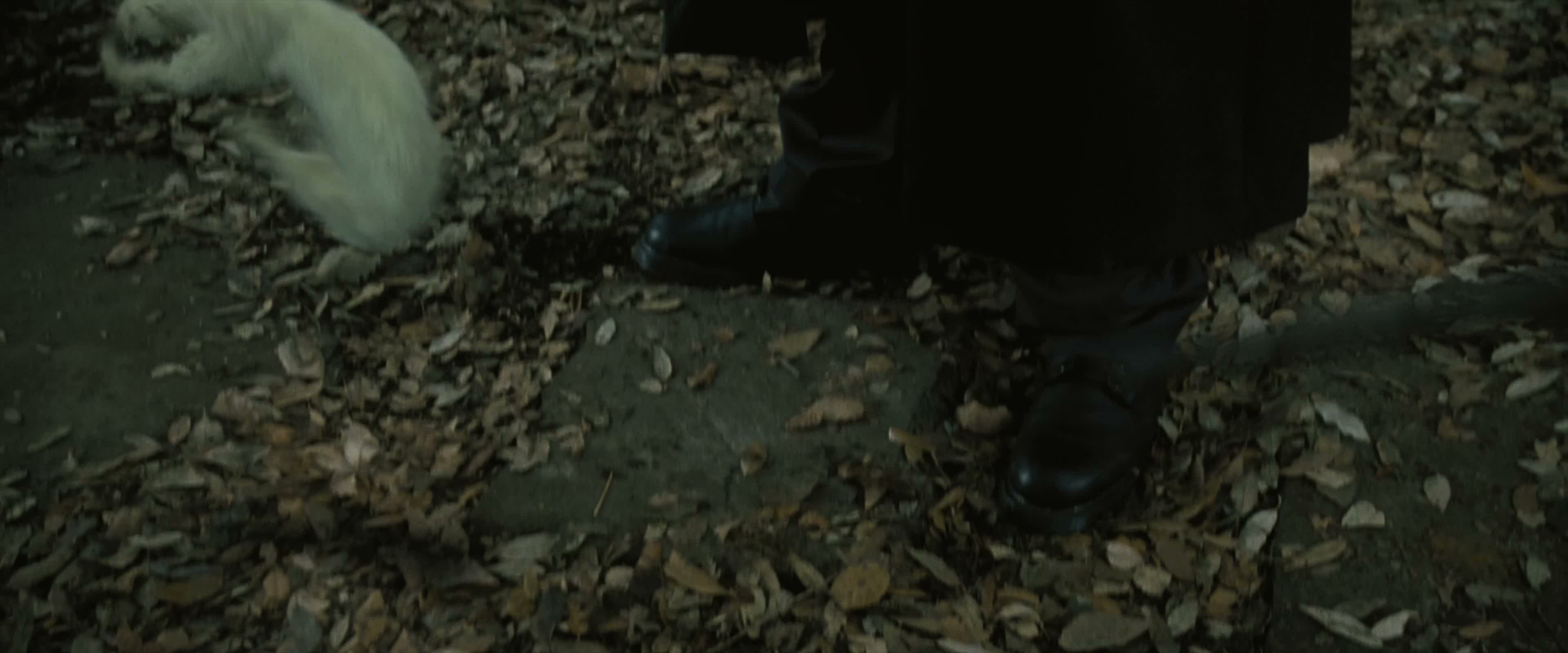 - Professor Moody!-...back-shooting-- - What are you doing?- Teaching ...