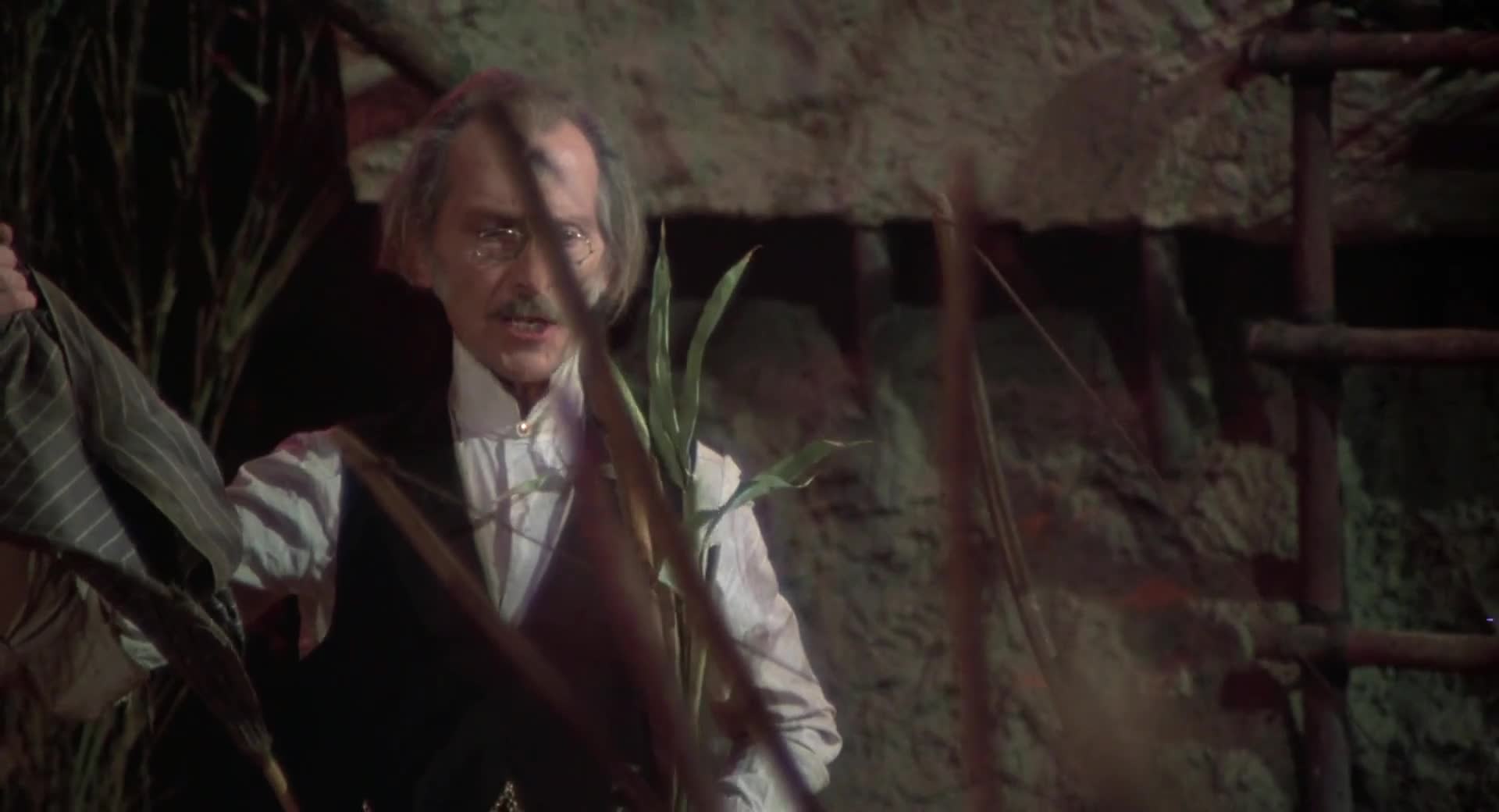 "Raise bows. Take aim. Fire! Robin Hood and hismerry men, what, David ...