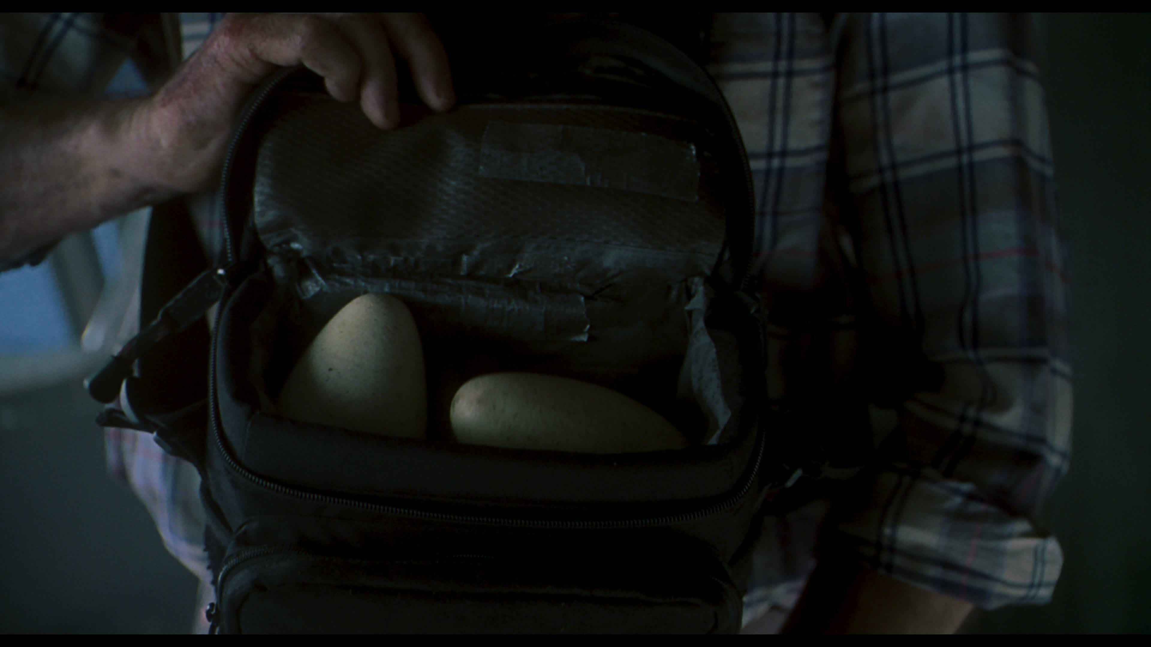 Raptor eggs. Did you steal raptor eggs? - Jurassic Park III | Clip.Cafe