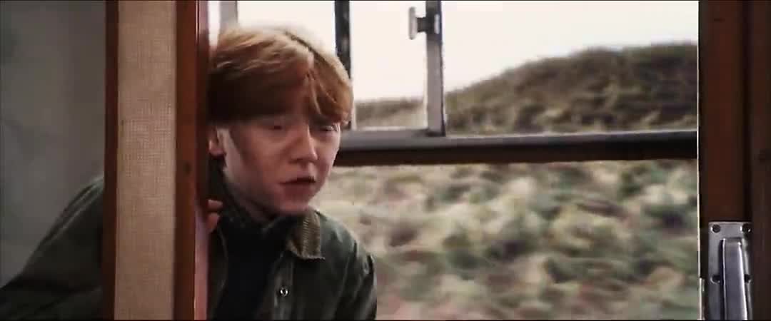 I'm Hermione Granger and you're Harry Potter! And you are? Ron Weasley ...