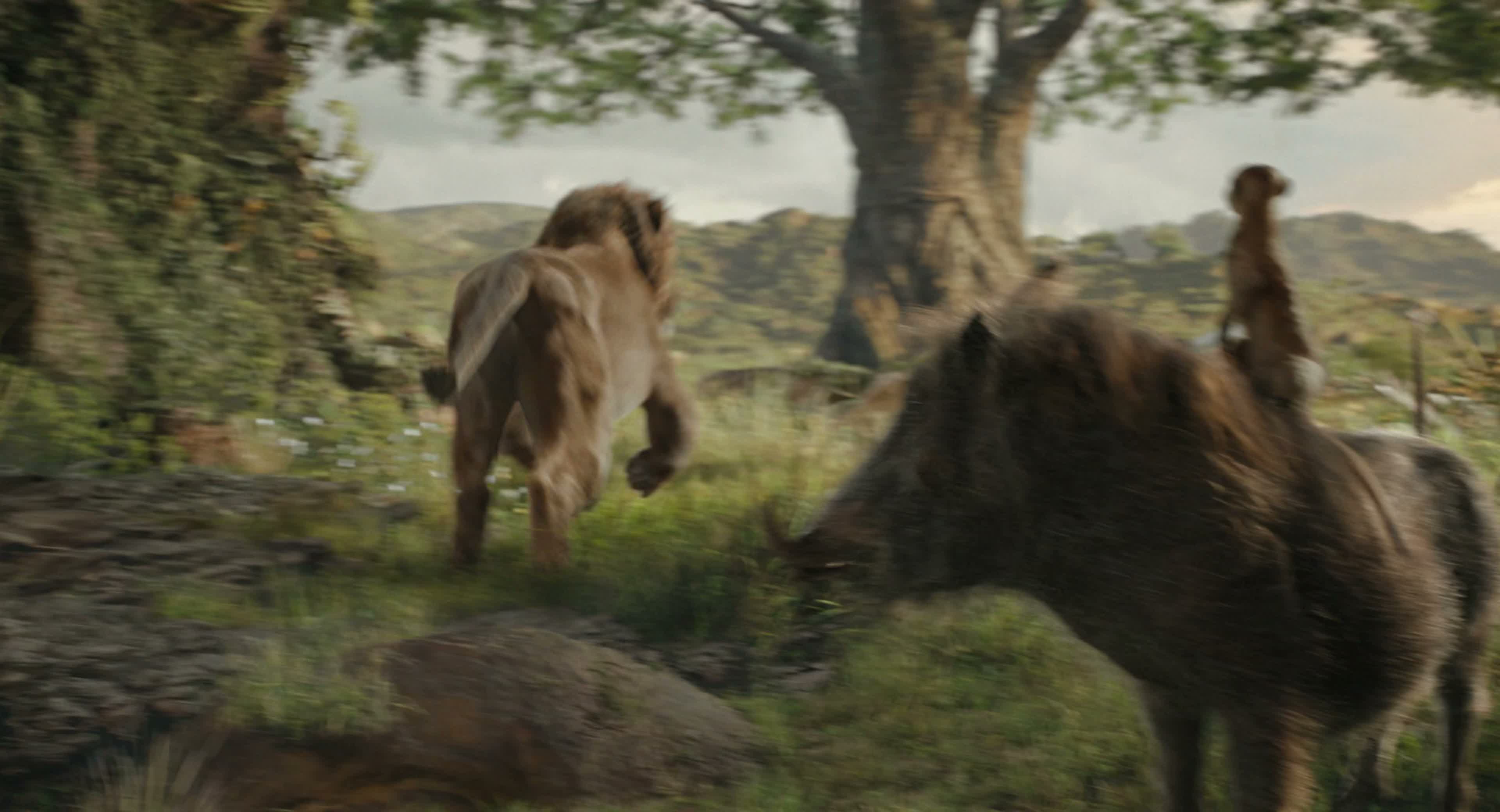 "Scar looked at us. He knew it wasthe end of the line. I could smell ...