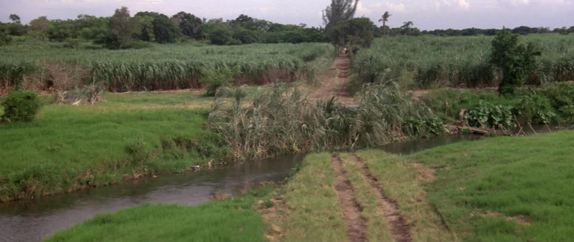 See that river? What, the one without the bridge? This river is the ...