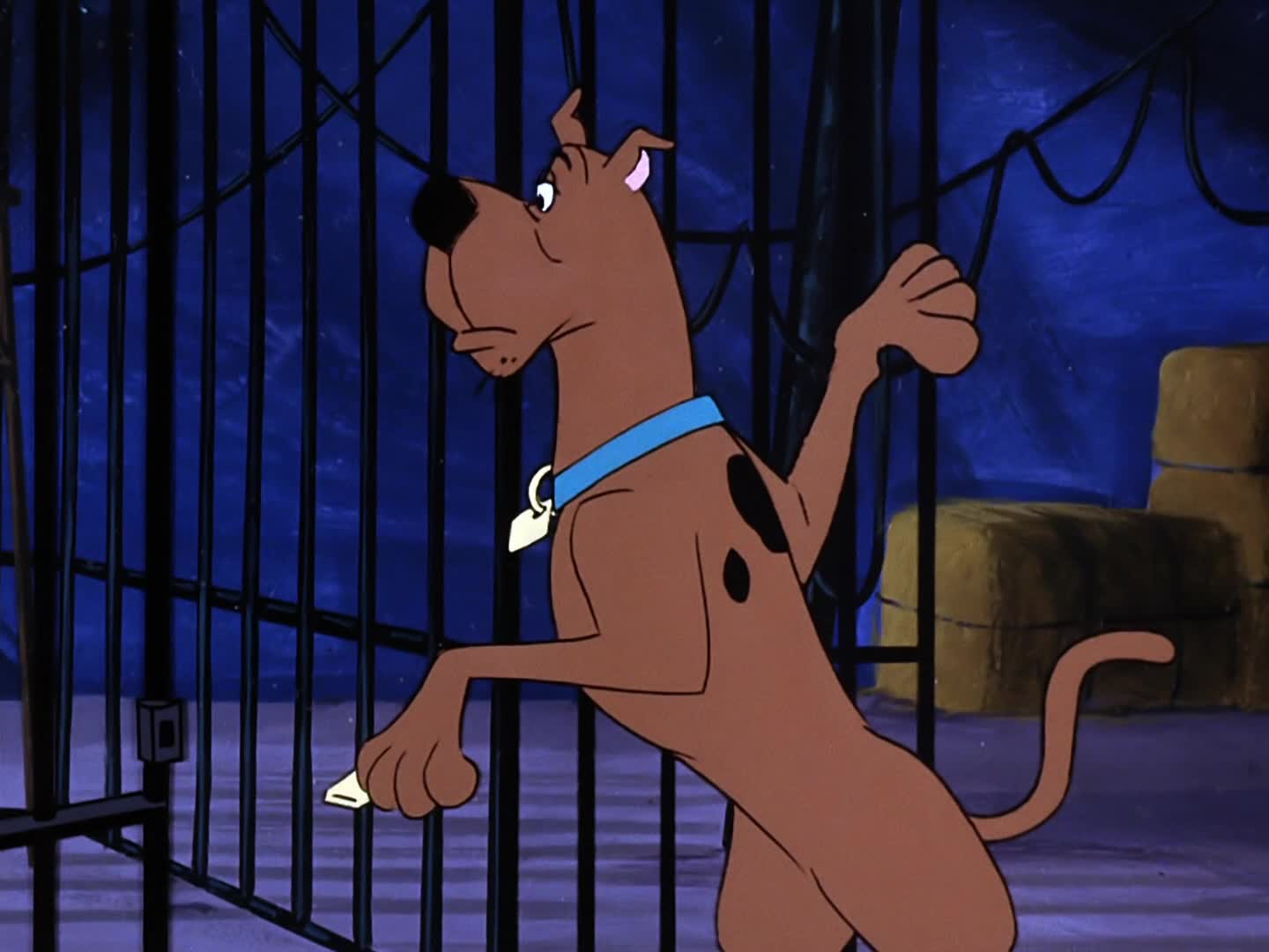Shaggy! Shaggy! Give me that whistle. Quick, Shaggy! Wake up! Oh, hi ...