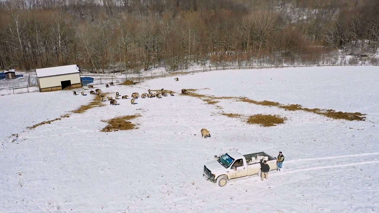 "(shakes grain bucket) come on, girls!" - Secrets of the Zoo quote