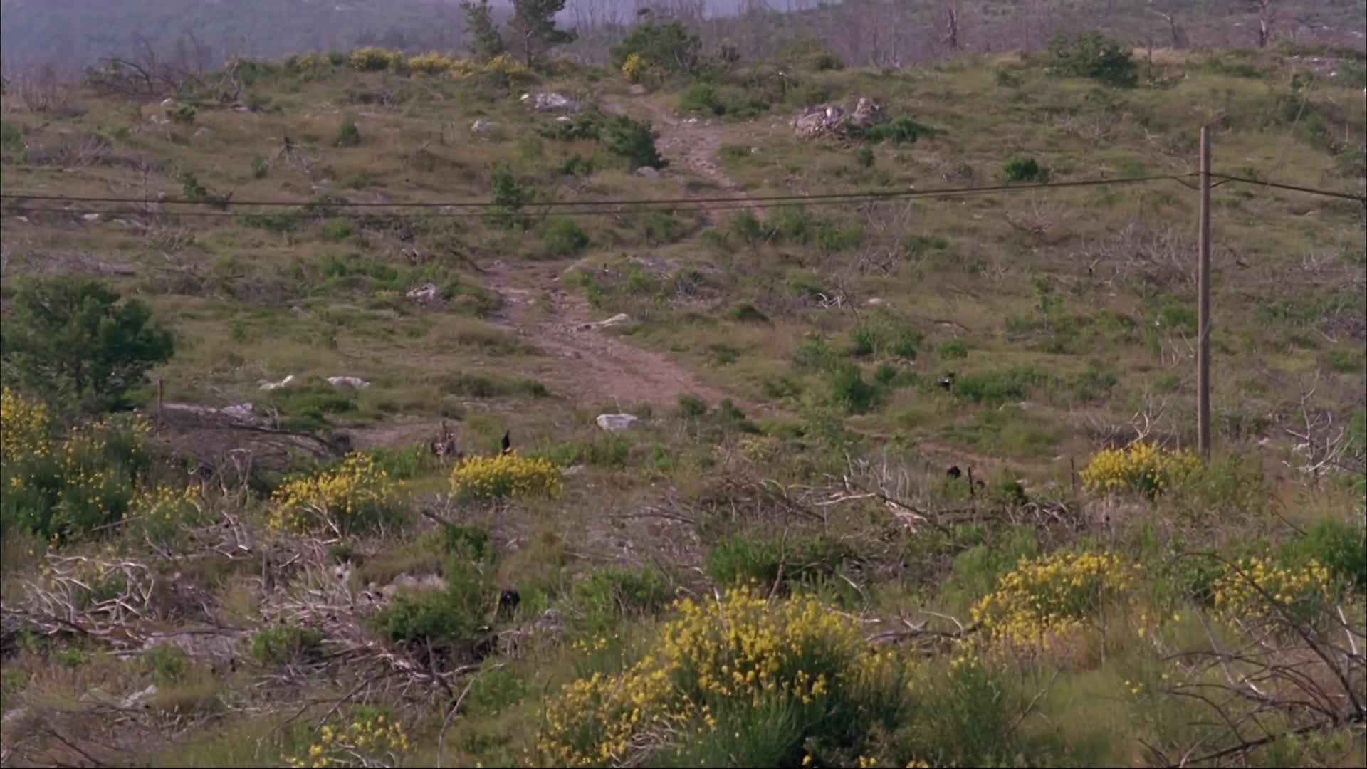 "Shit, they're still looking for us. You'll have much better chance on ...