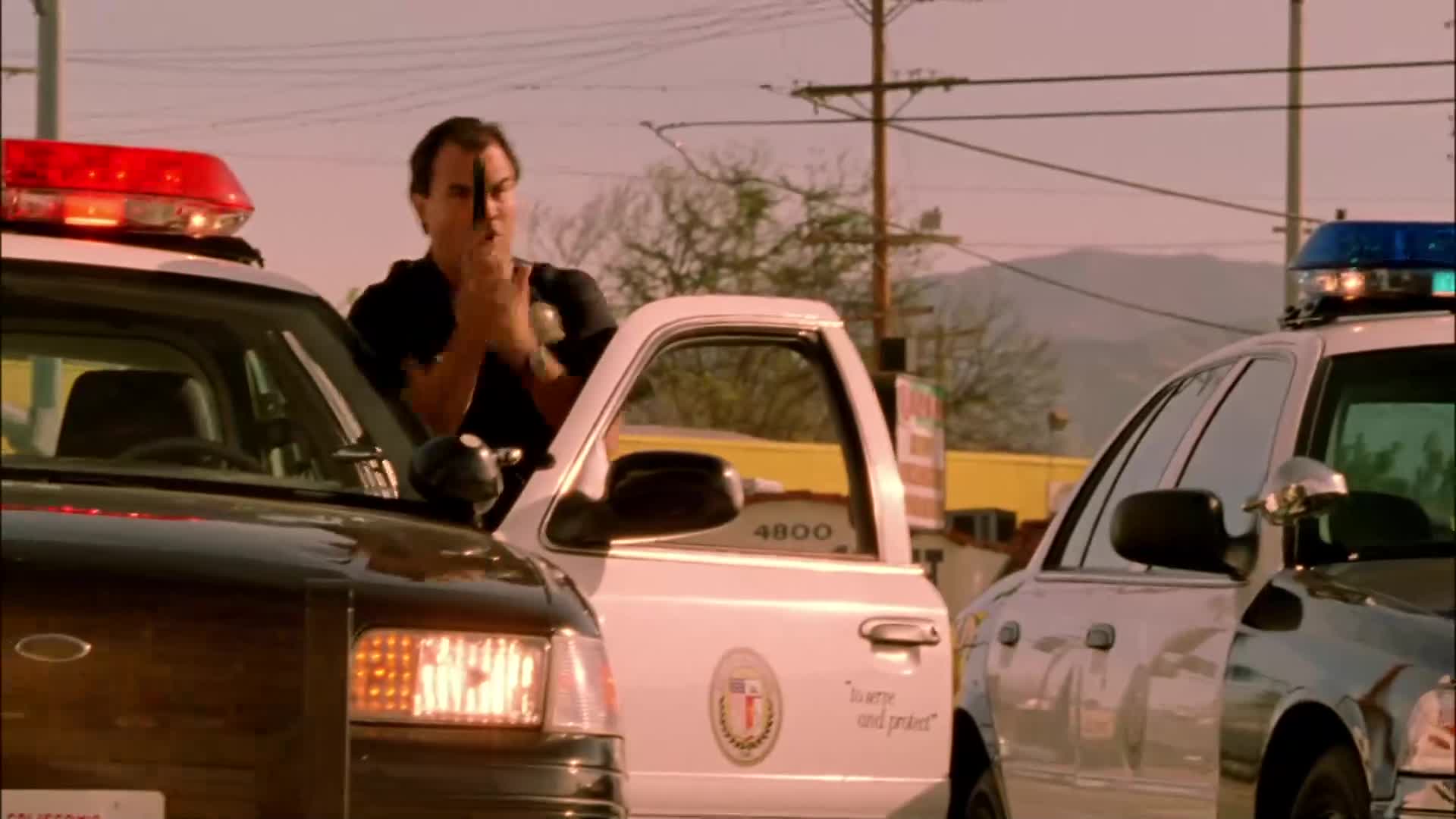 - Show me your hands!Get your hands up! - Do it now! Right now! Gun ...