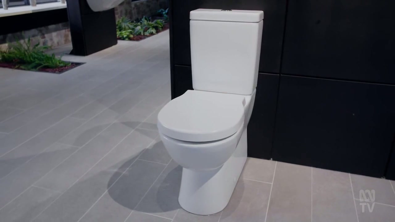 Since its introduction,the dual-flush toilet has saved over 300 ...