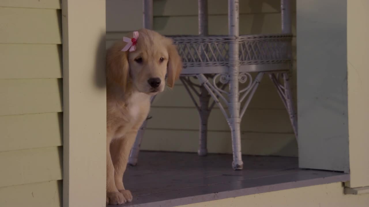 What are we gonna do, dudette? Oh, brother. Sweet. And I can call you ...