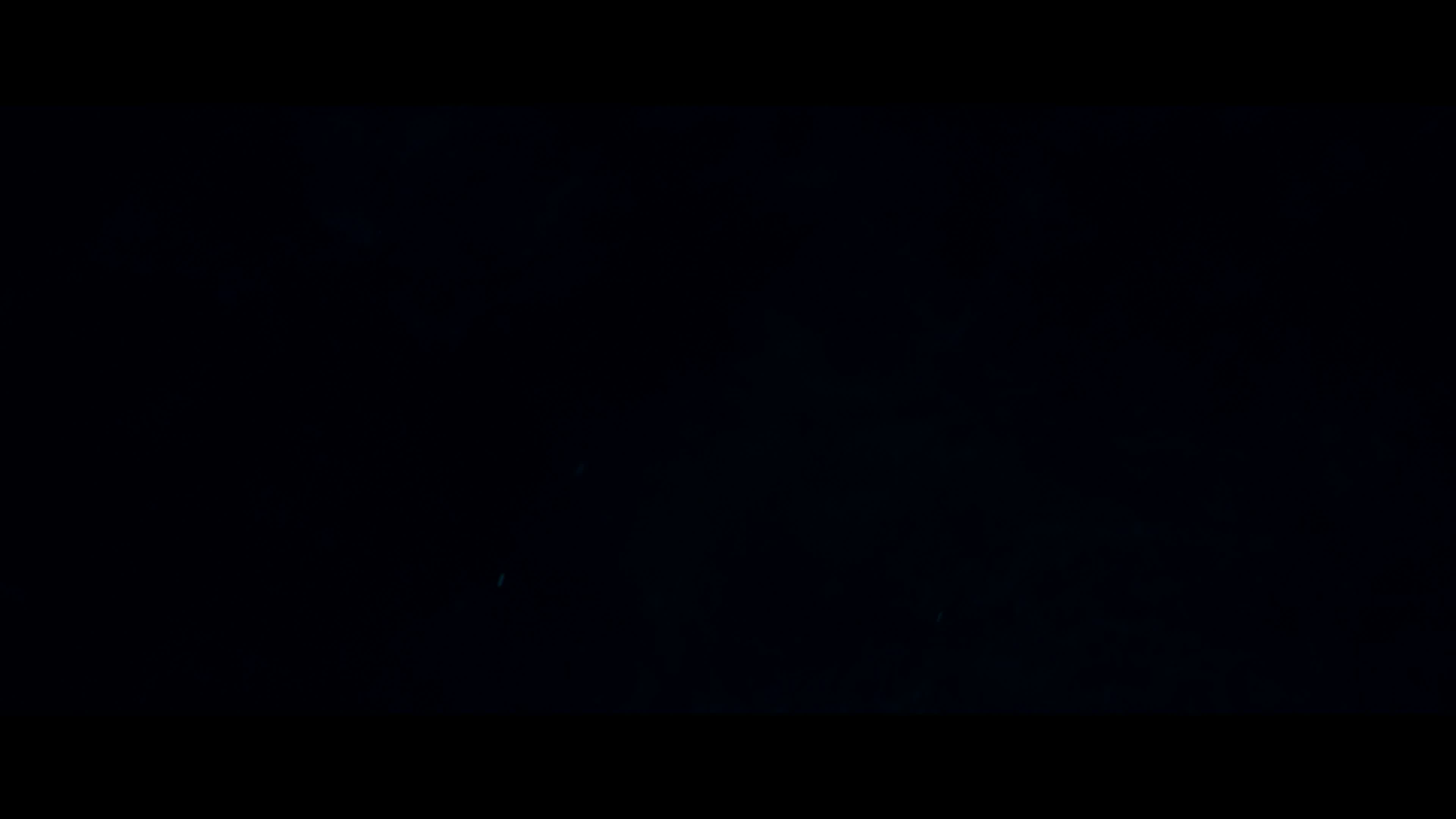 So where is she? We don't know, Father.She's gone. What do you mean,she ...