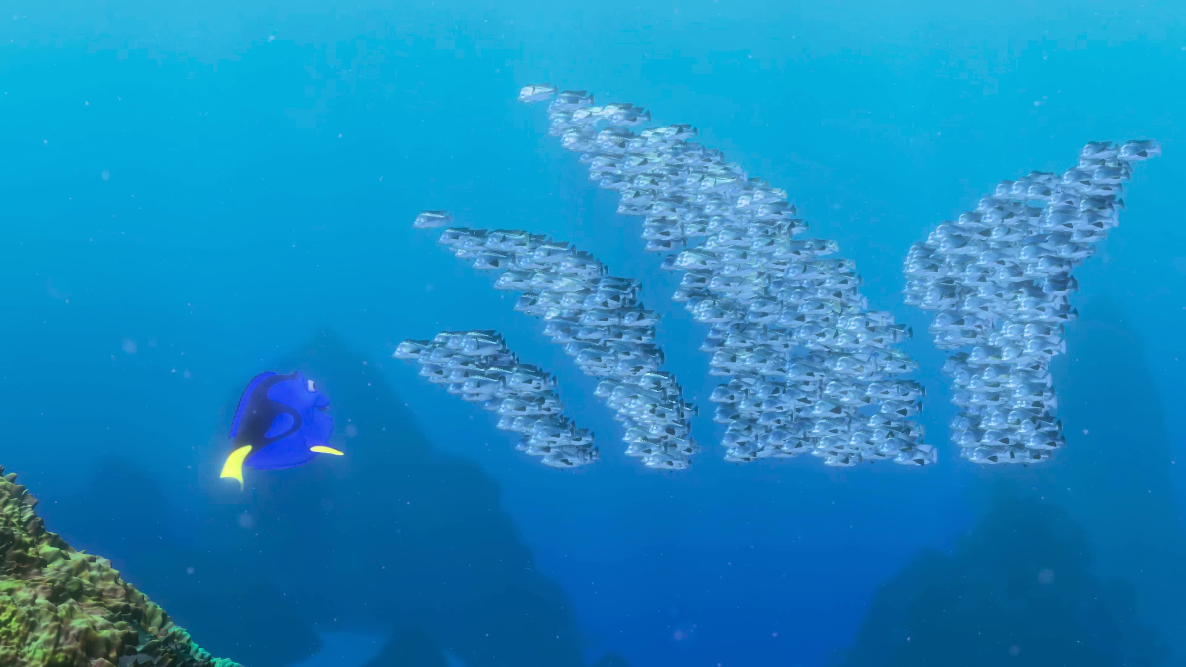 - Sure do.- Hey, they know Sydney! - Finding Nemo | Clip.Cafe