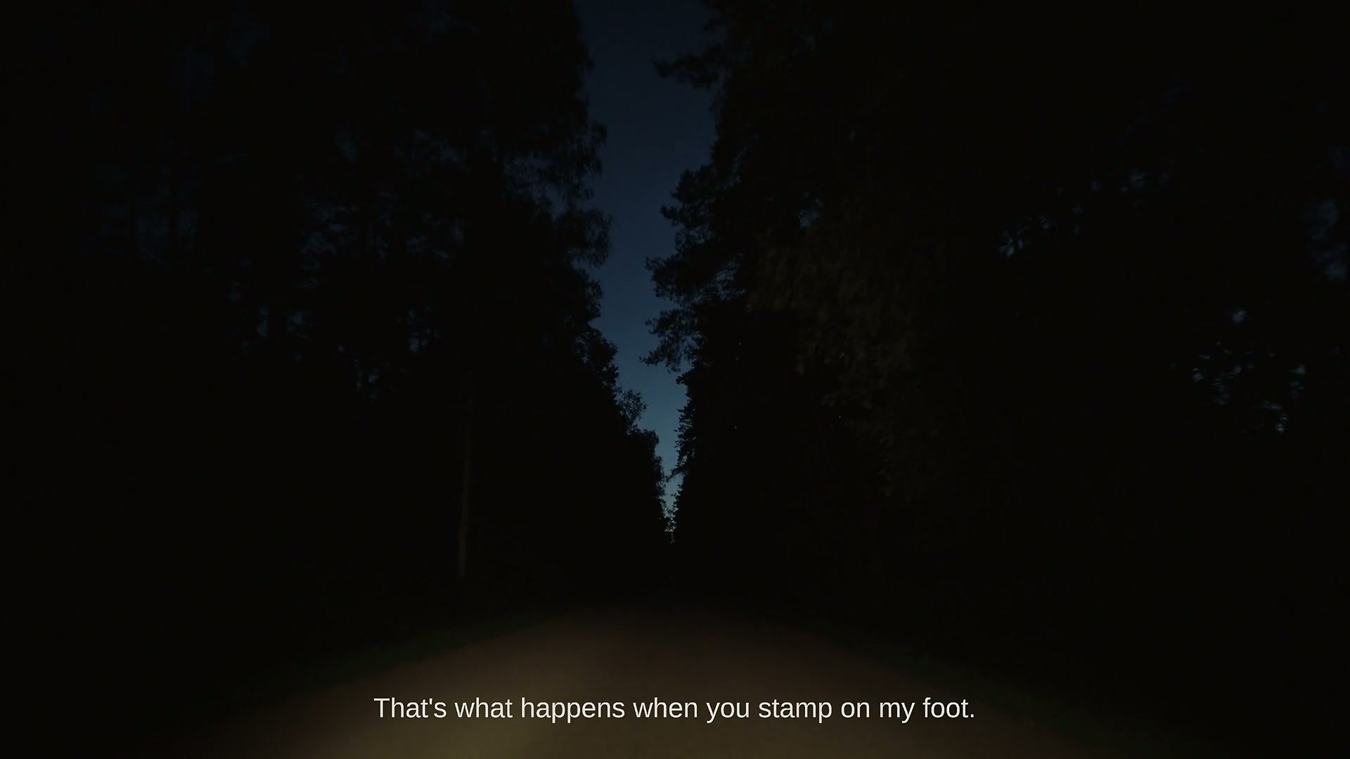 "That's what happenswhen you stamp on my foot." - The Zone of Interest ...