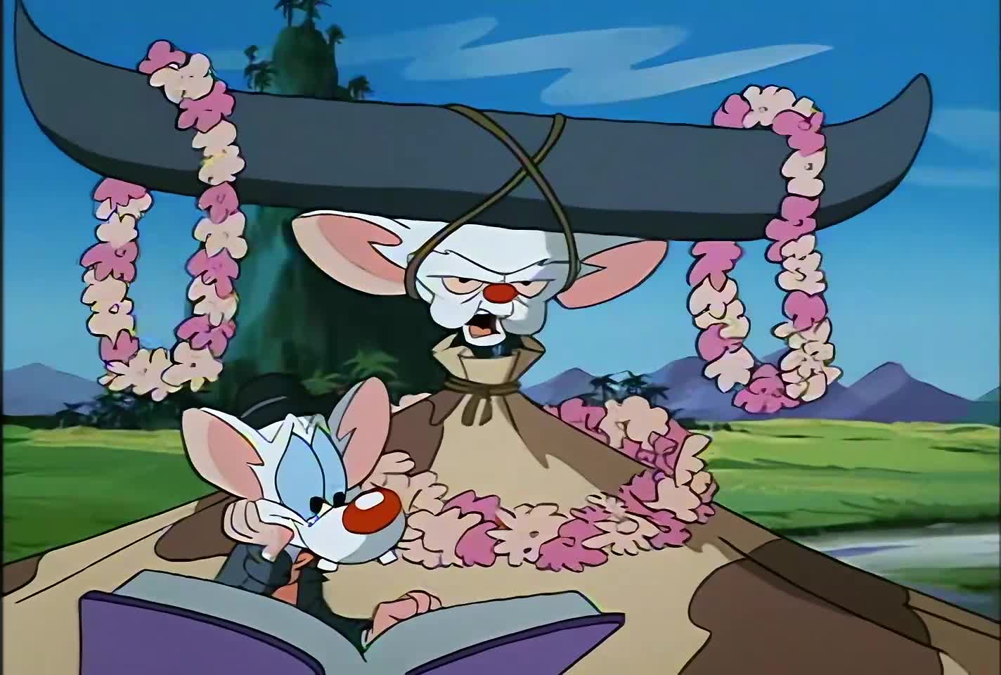 THE IRONYOF IT ALL, PINKY. YEARS OF TRYINGTO TAKE OVER THE WORLD, AND ...