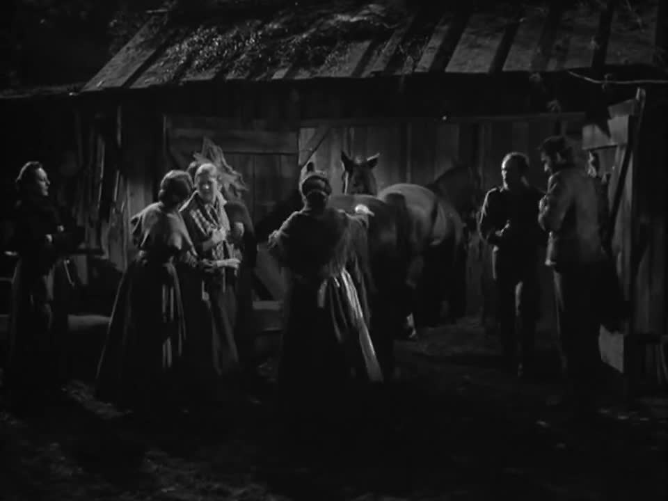 There is hay back there in the manger. What happened? You're soaking ...