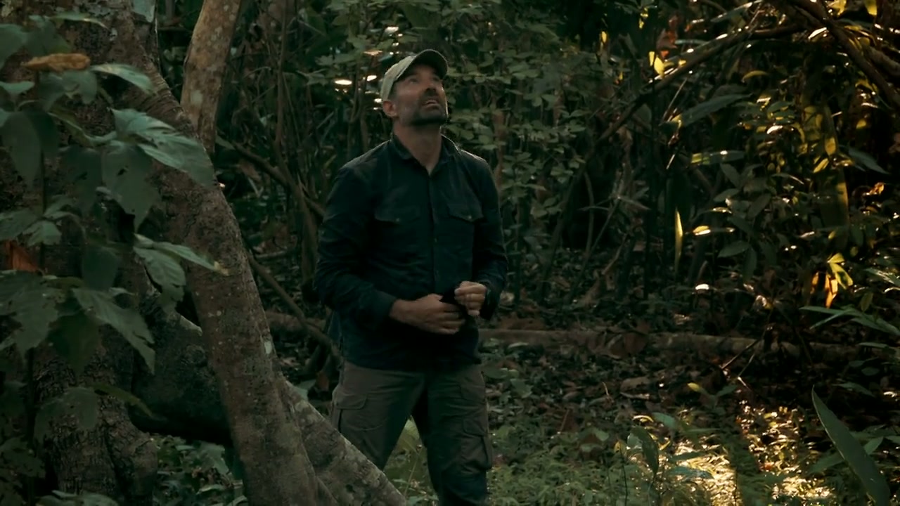 THEY CALL THEM WIDOWMAKERS,WHERE DEAD BRANCHES FALL DOWN ON YOU,AND IT ...