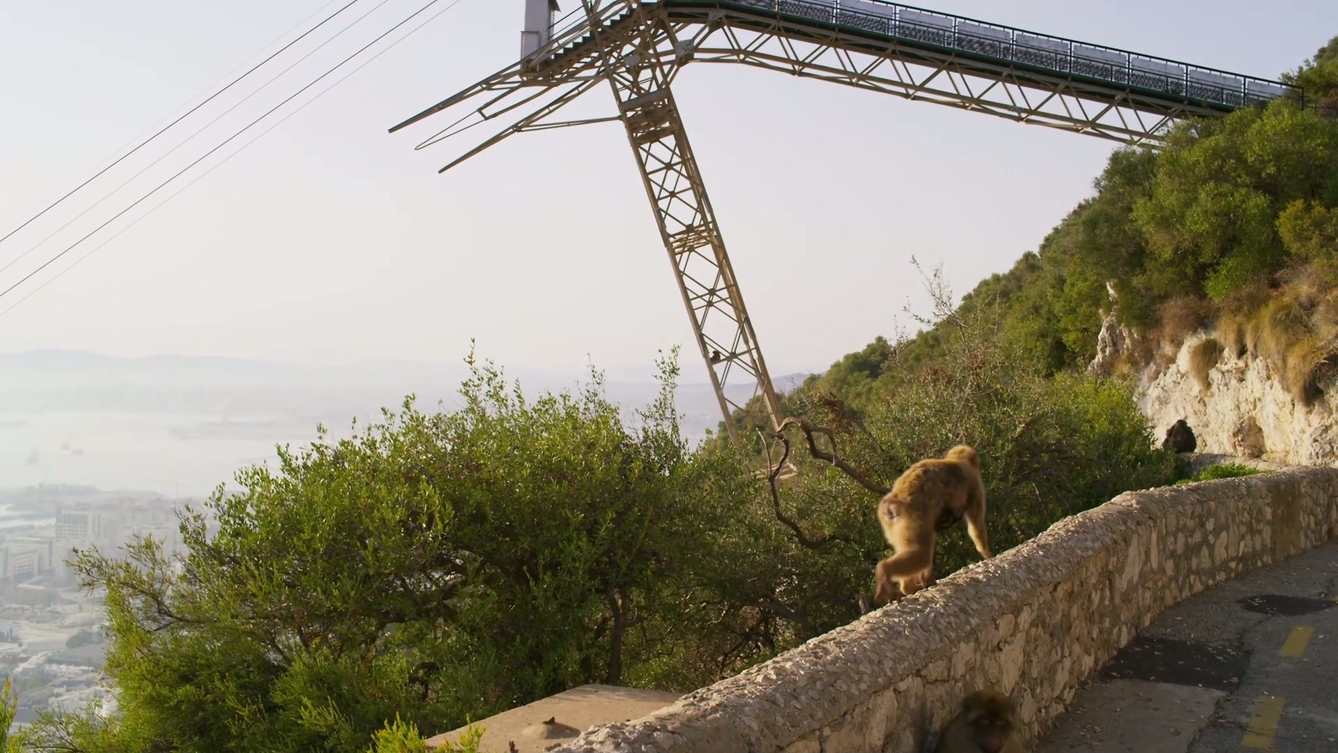 They're headedtowards a cable car tower. - Seven Worlds, One Planet ...