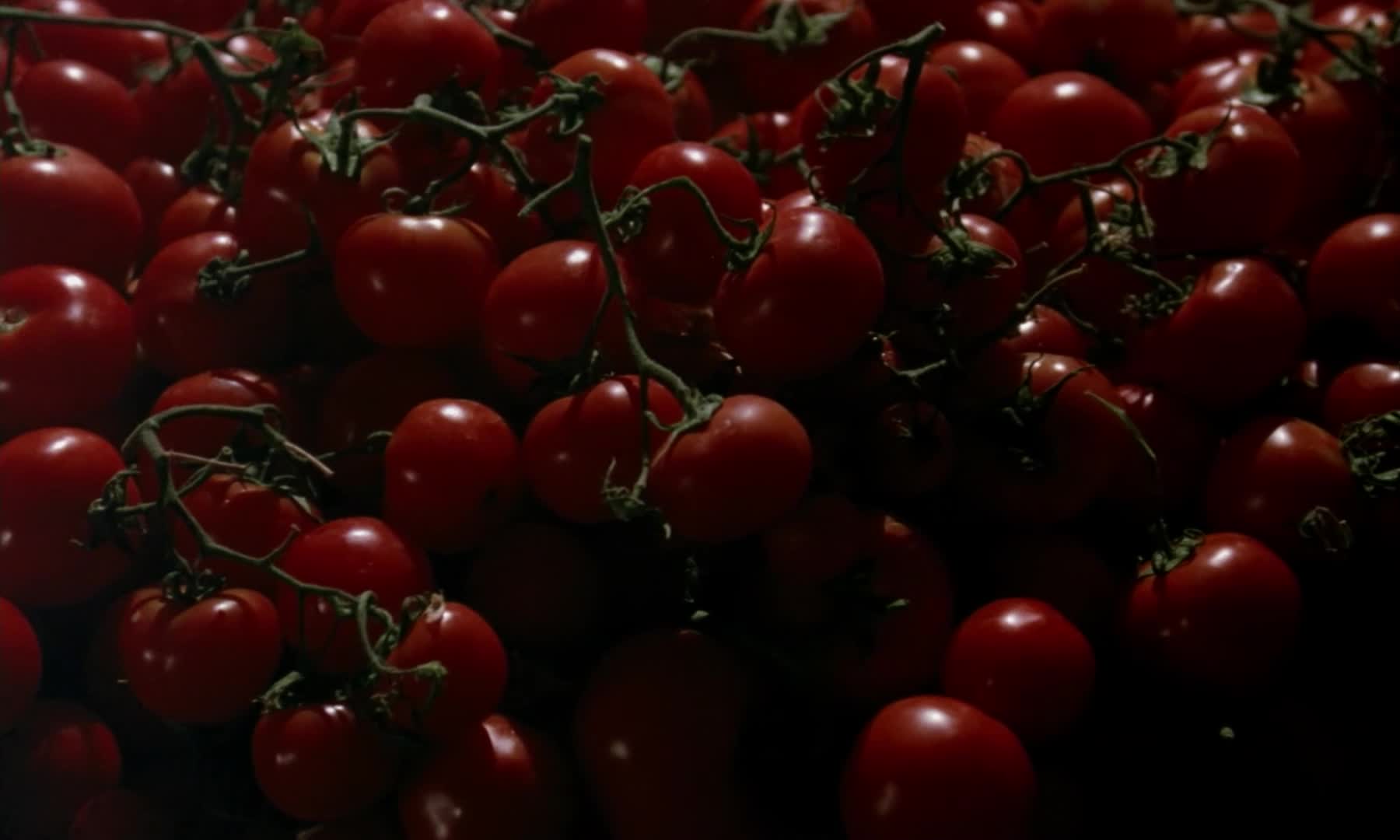 Tomatoes, red entrails, fresh suns. Artichokes, dressed as warriors ...