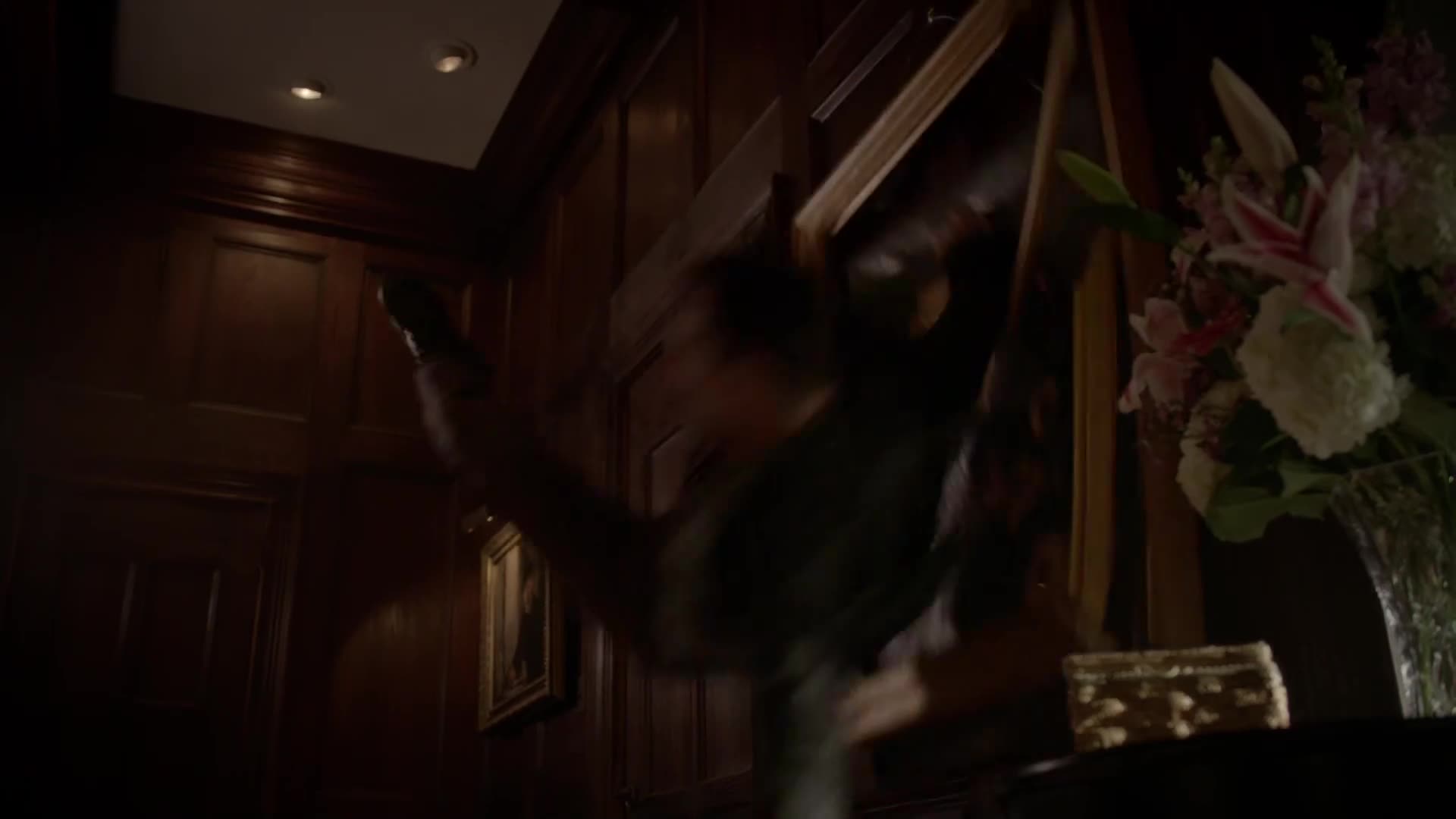 Uh! Ooh! Give me the stone! Uh! Here, boy. Fetch. - The Vampire Diaries ...