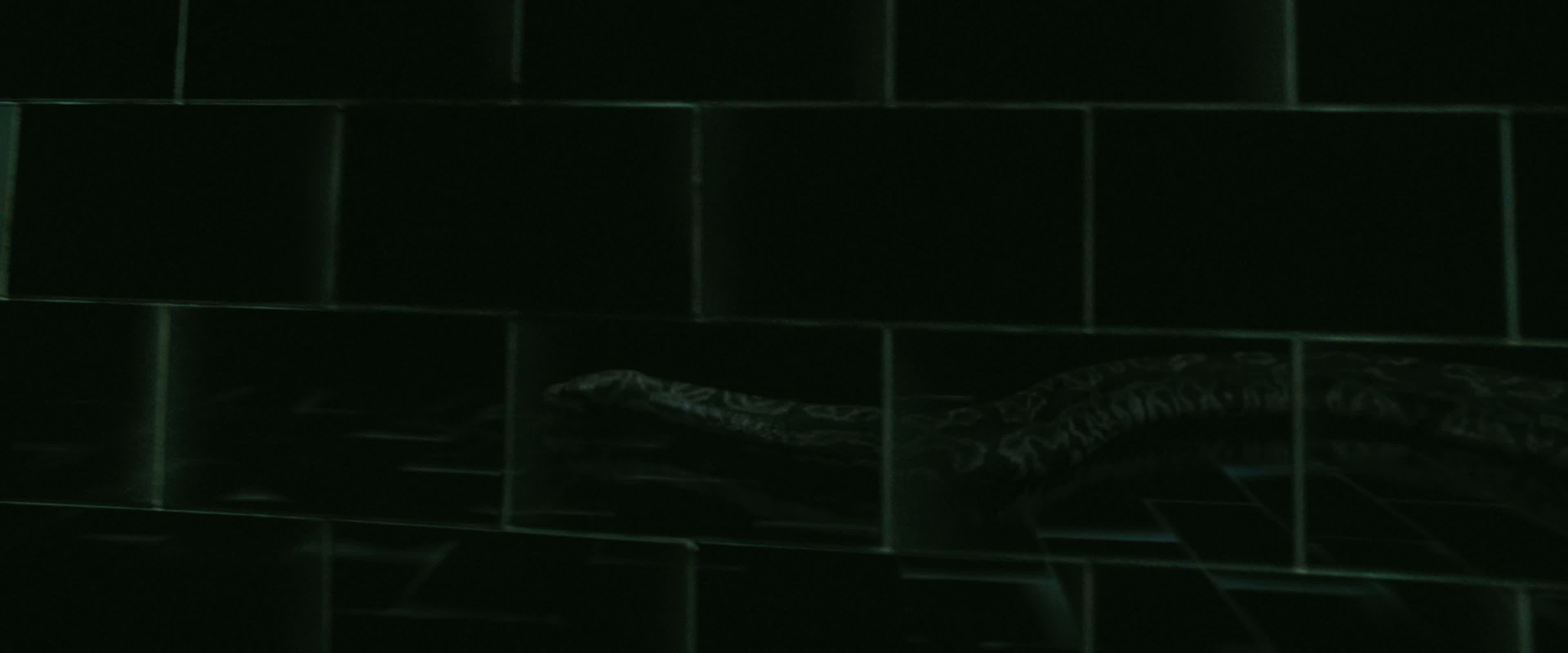 Voldemort may be after something. Something he didn't have last time ...