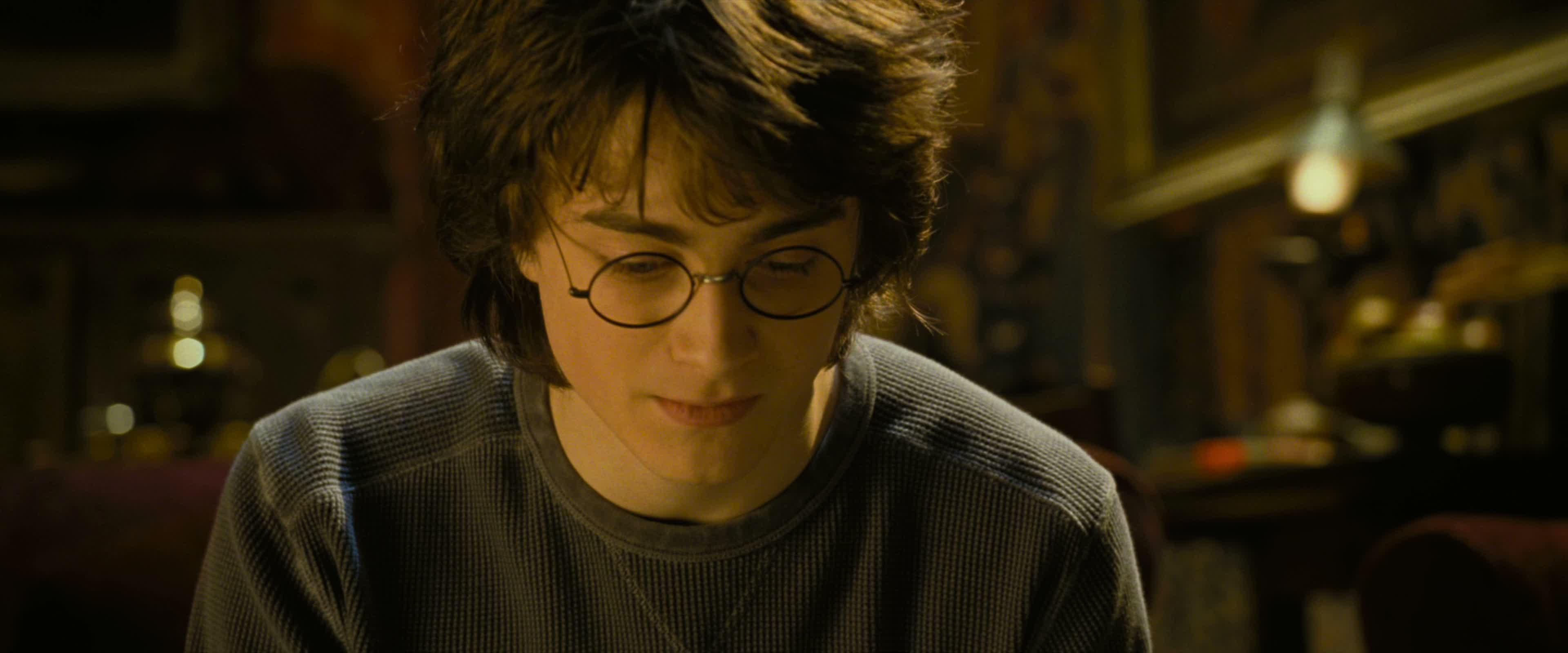 "Voldemort was giving him a job to do.Something important." - Harry ...