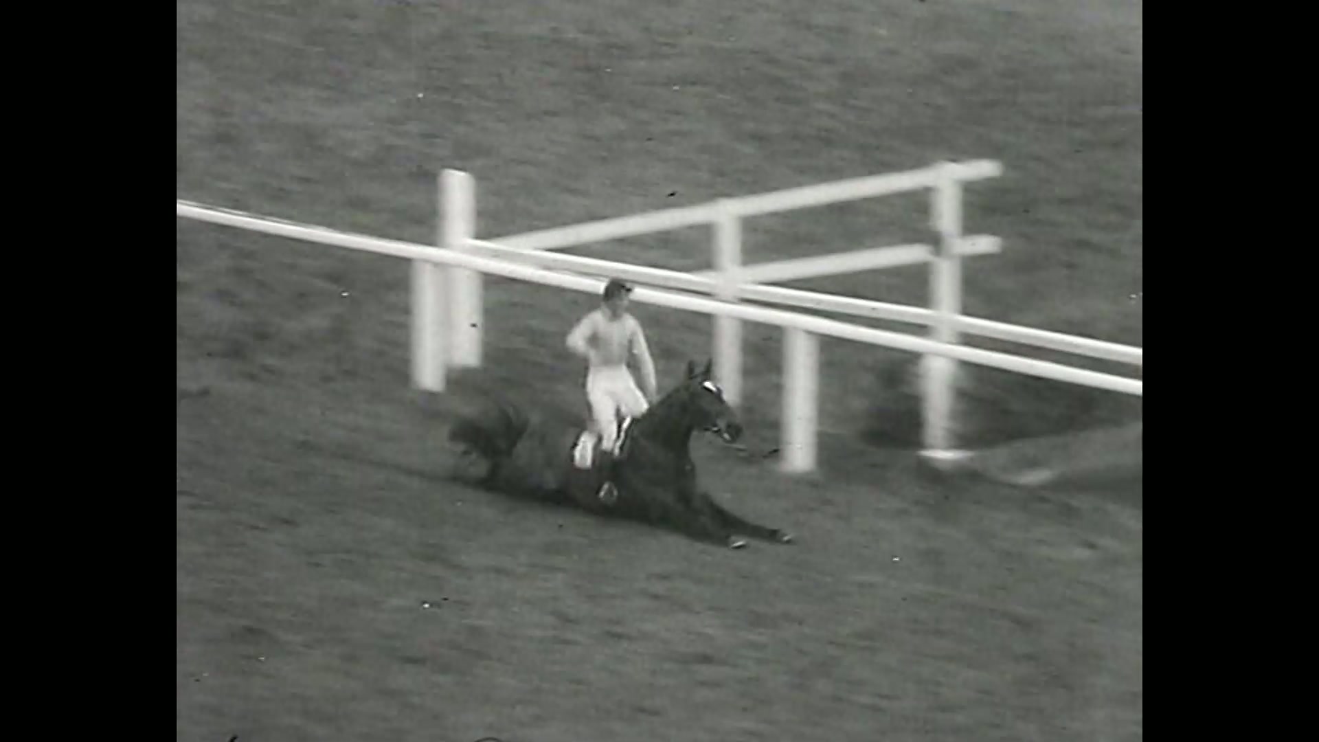 "We can only hopefor a Devon Loch now." The horse that fellon the final ...