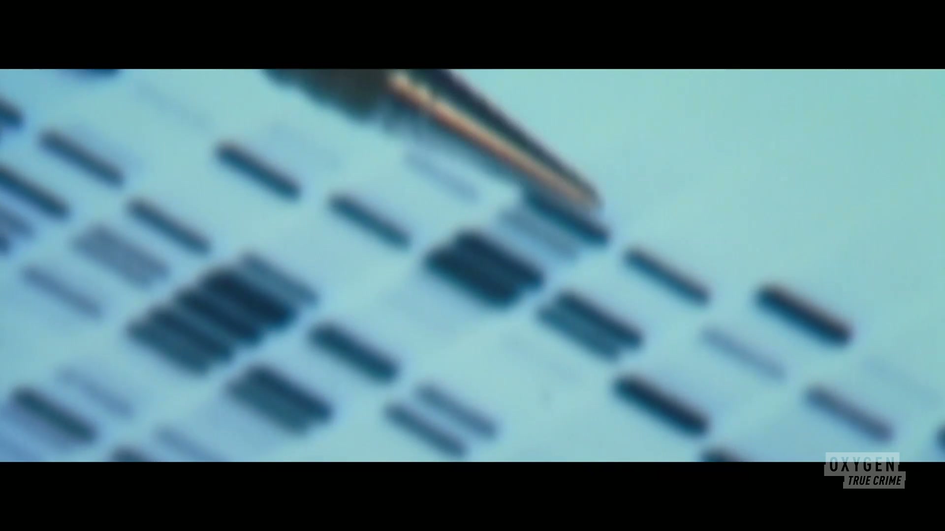 "We didn't knowif the correct dna profile For the lady in the duneswas ...
