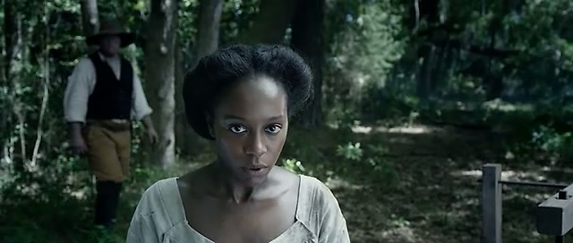 "Well, sir, I can get one." - The Birth of a Nation quote