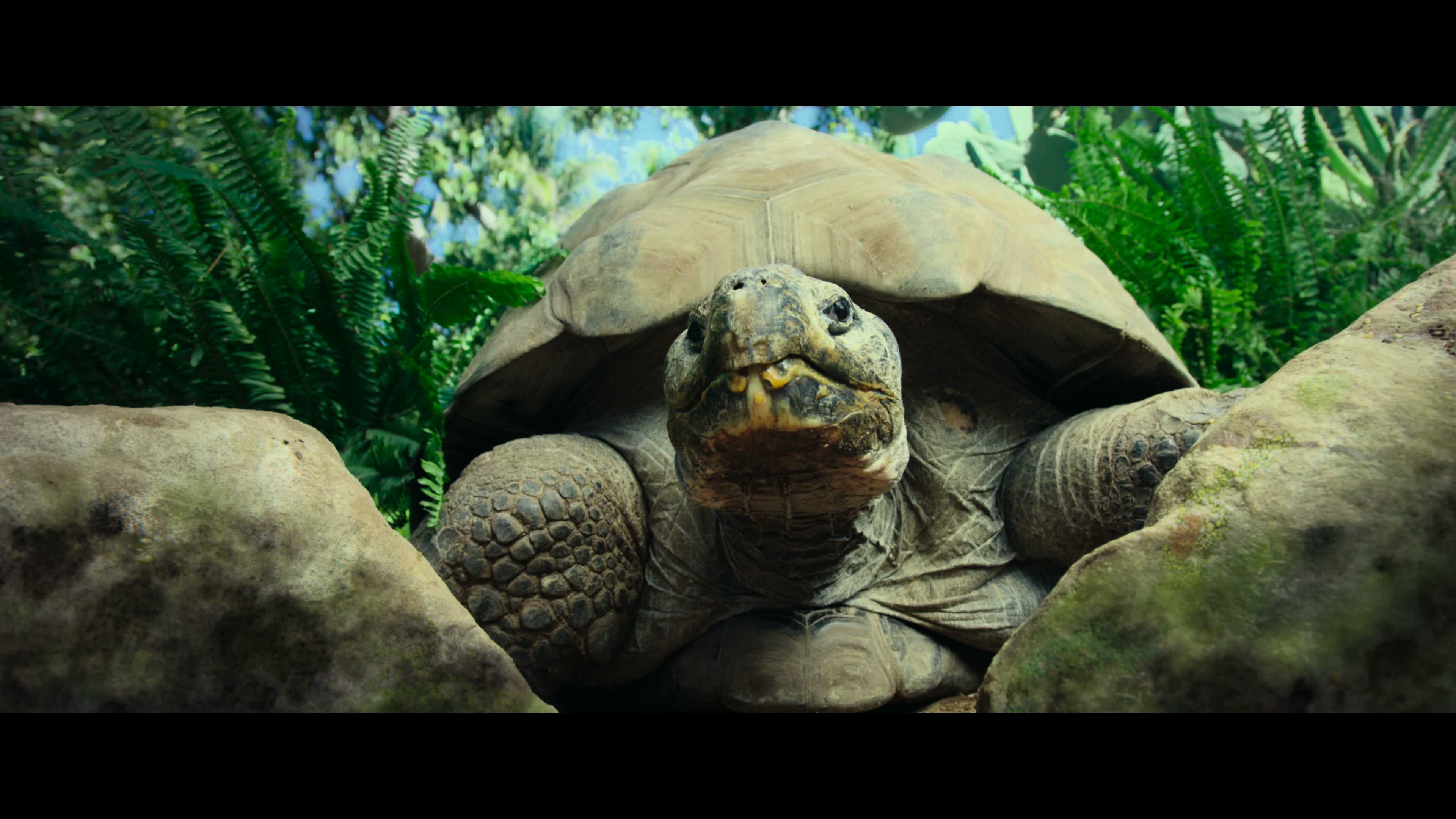 Well, this is awkward. Let's rumble, baby! - Teenage Mutant Ninja ...