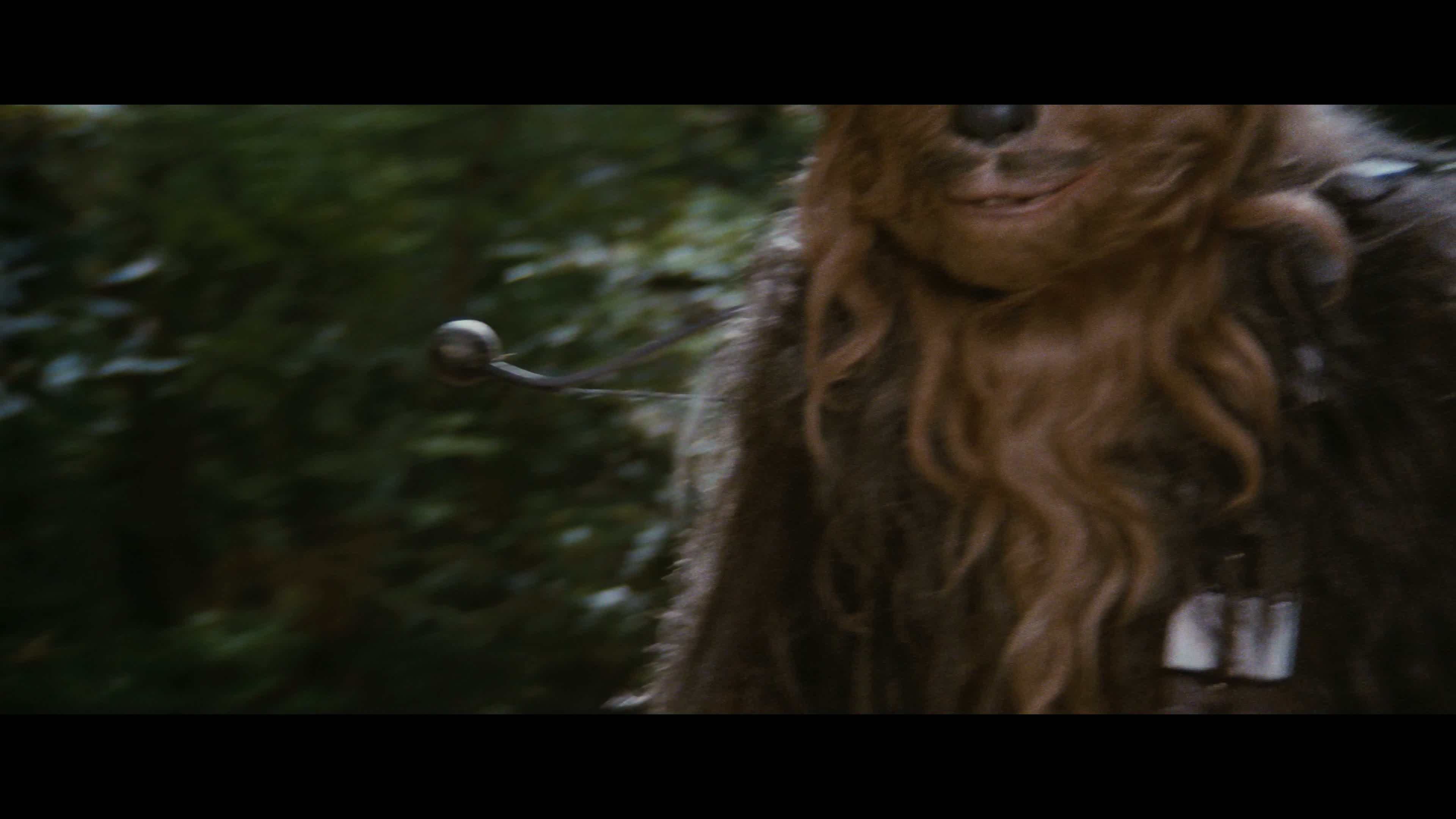 What, Chewie? What, Chewie? - Star Wars: Episode VI Return of the Jedi ...