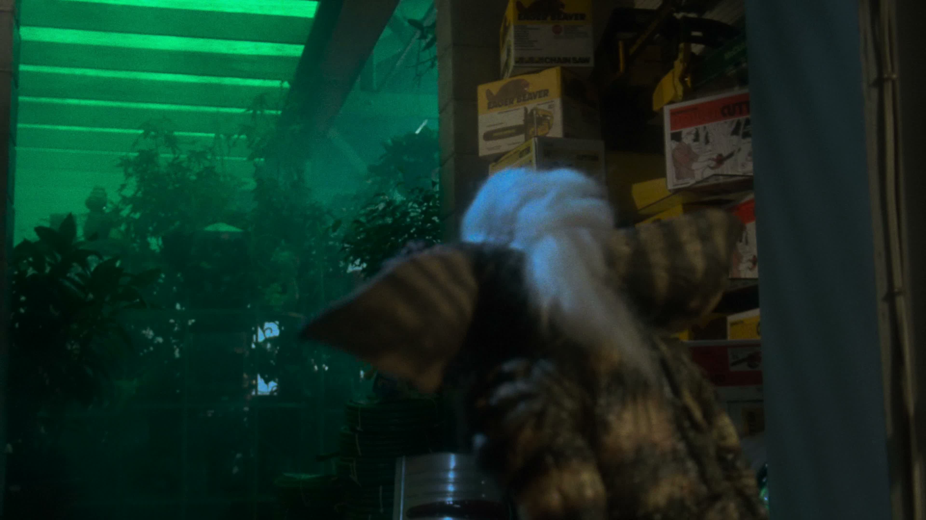 Water... Gun. - Gremlins | Clip.Cafe