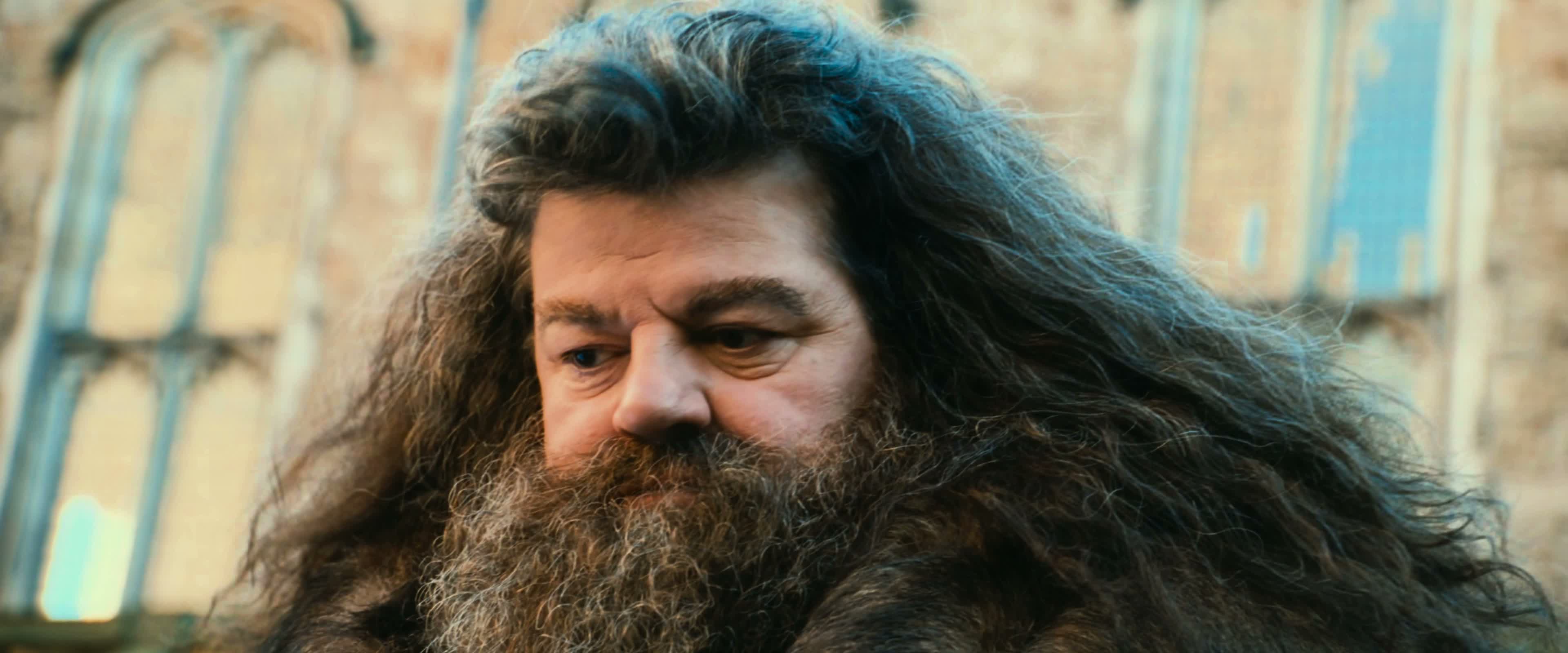 What's that you've got, Hagrid? It's Flesh-Eating Slug Repellent.For ...