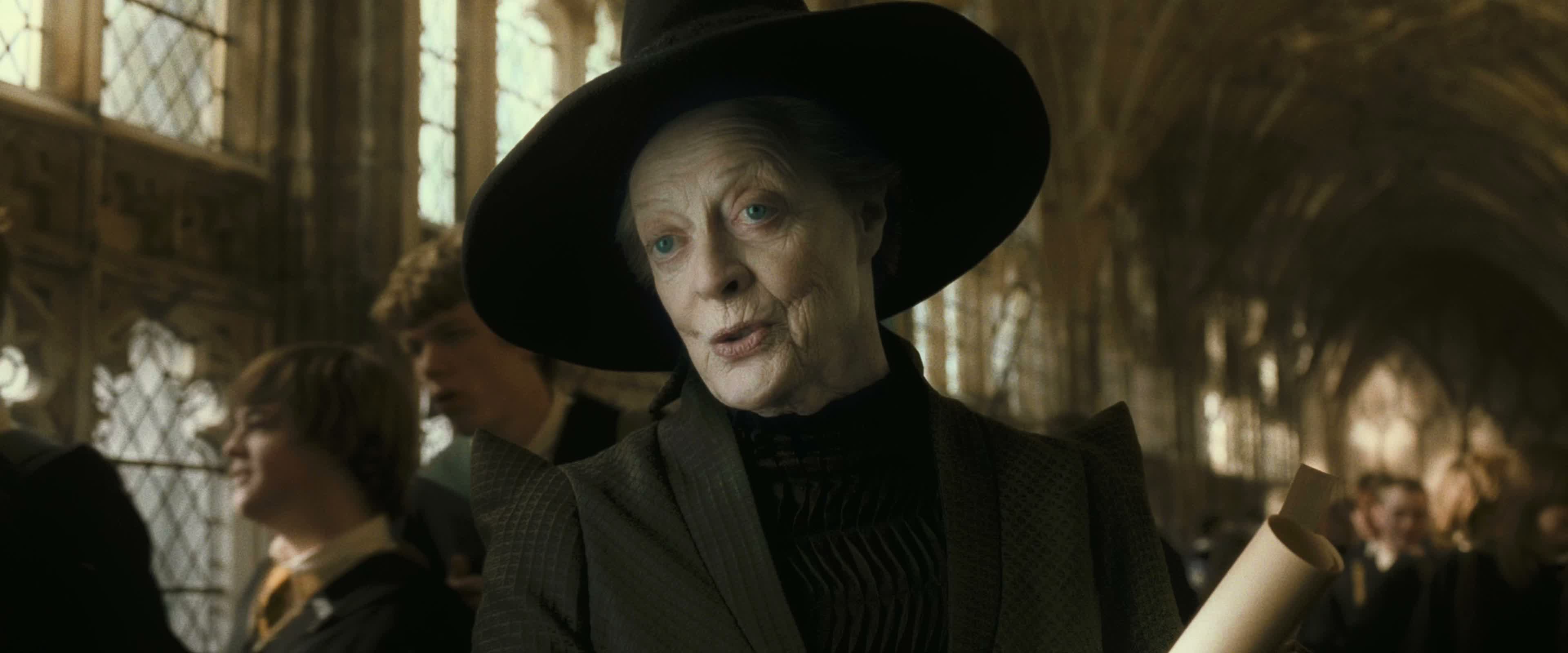 ...with "Exceeds Expectations." Brilliant. Um... - Harry Potter and the ...