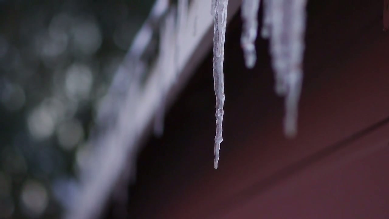 without a singleflake of snow ♪ ♪ I smell the pine ♪ It reminds me of ...