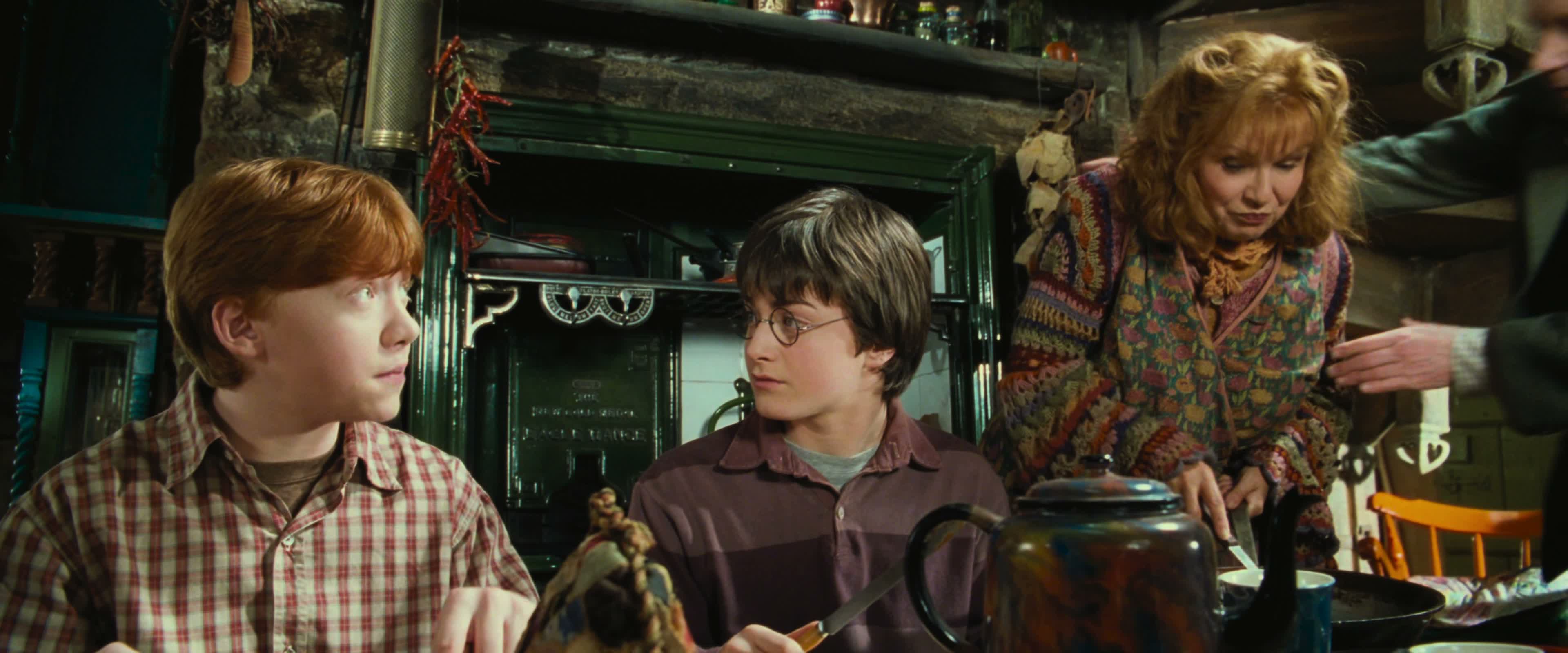 "You go first, Ron, so that Harrycan see how it's done. Yes." - Harry ...
