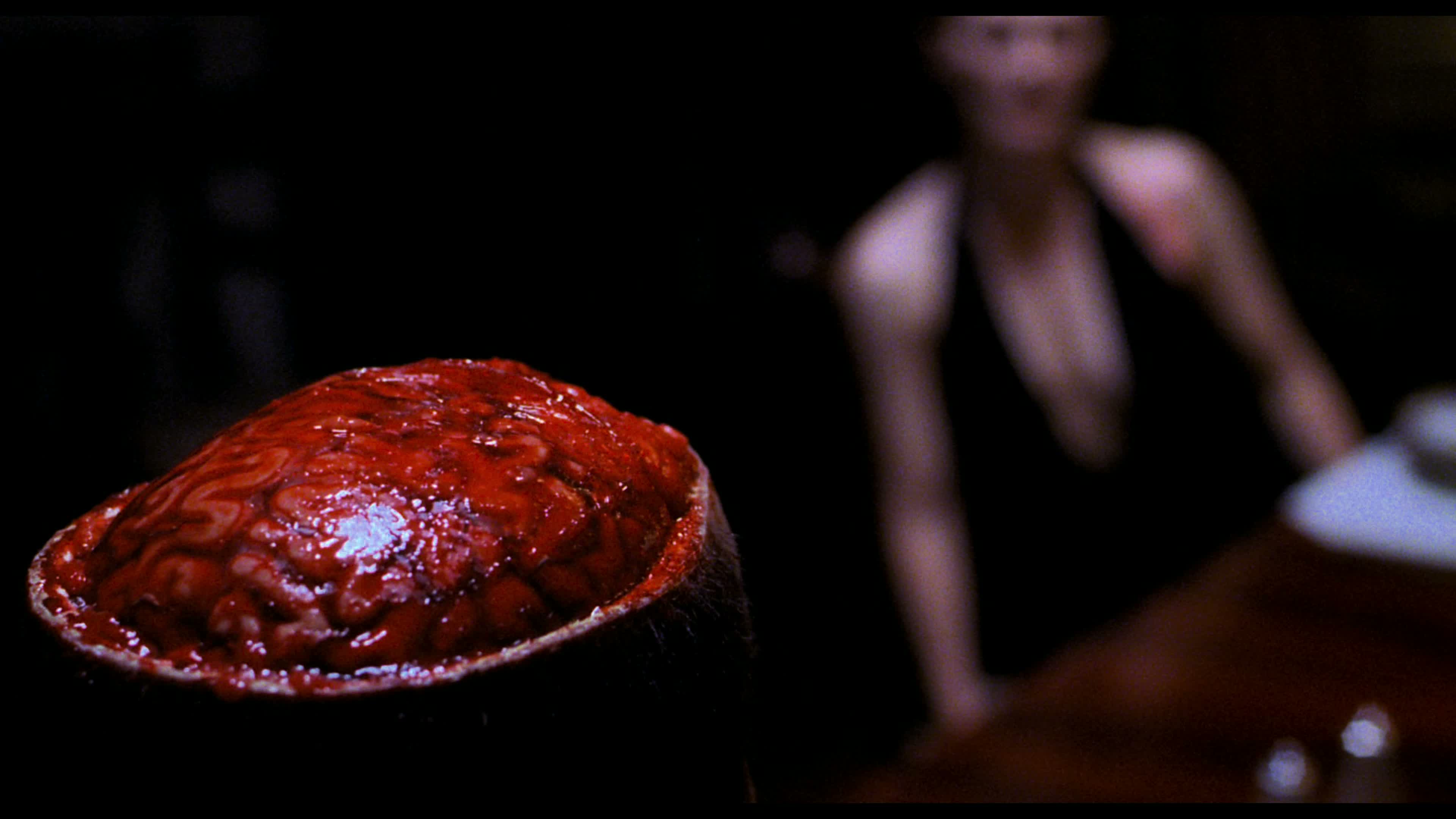 You see, the brain itself feels no pain if that concerns you, Clarice ...