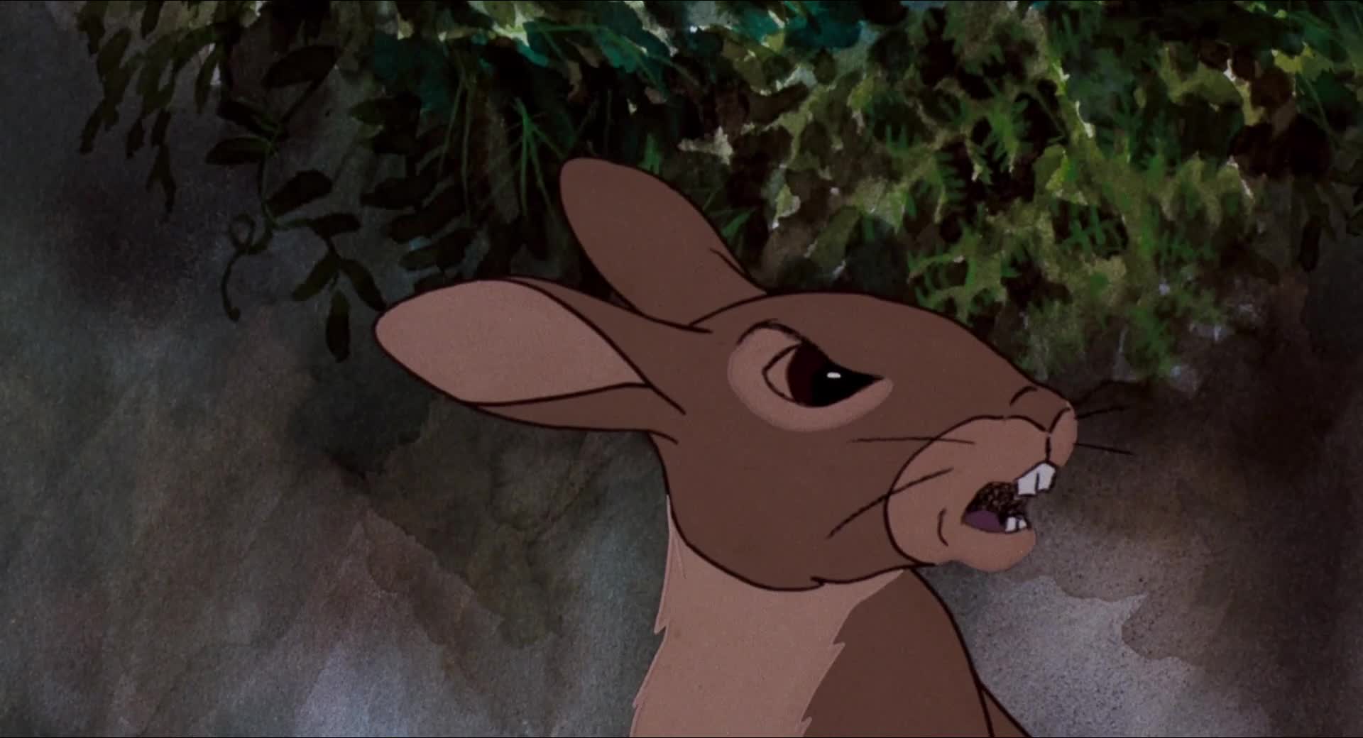 "You stupid bunnies! You got no mates! Vere are mates? VERE ARE *CHICKS ...