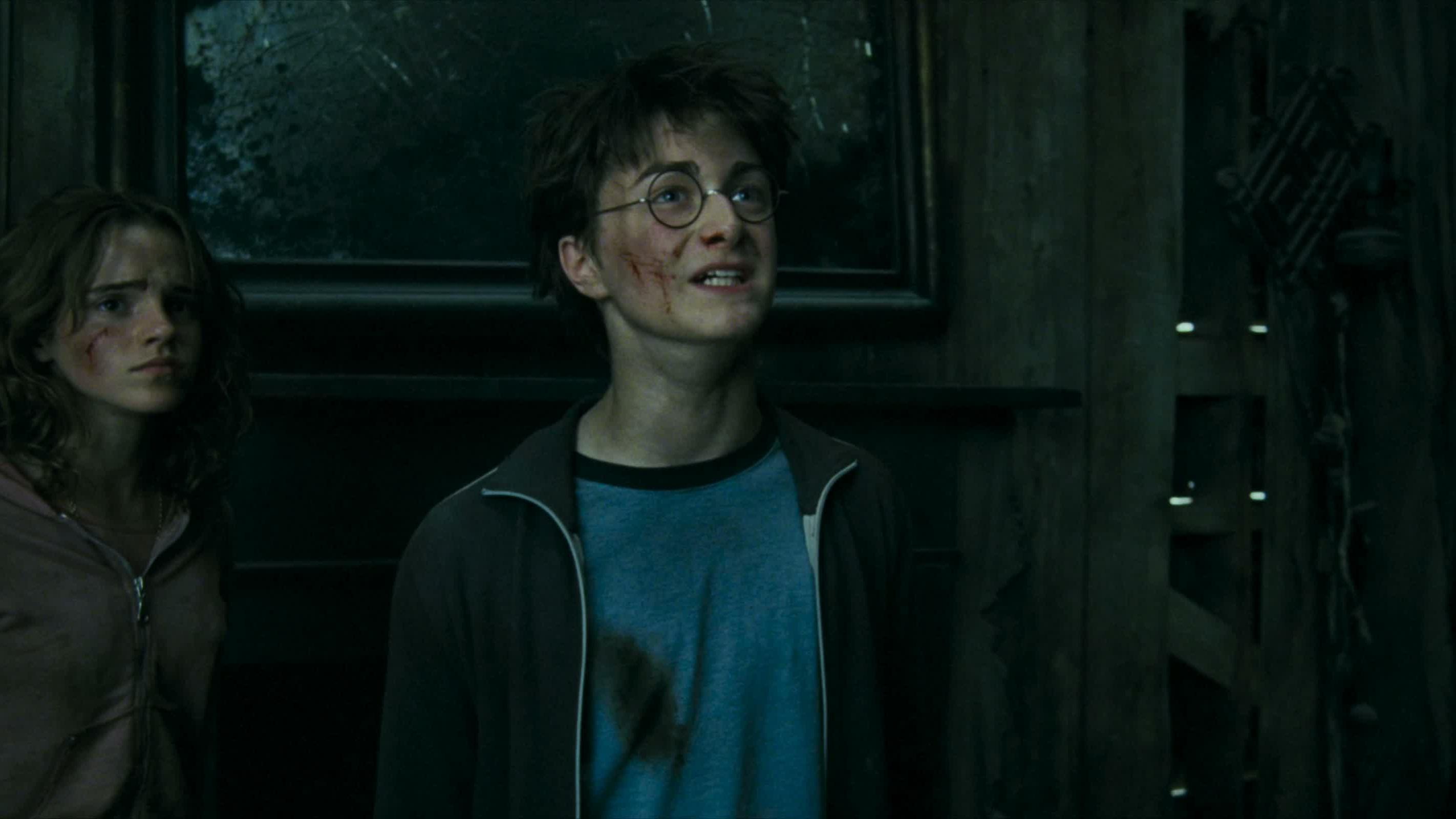 A bit? A bit?You almost tore my leg off! - Harry Potter and the ...