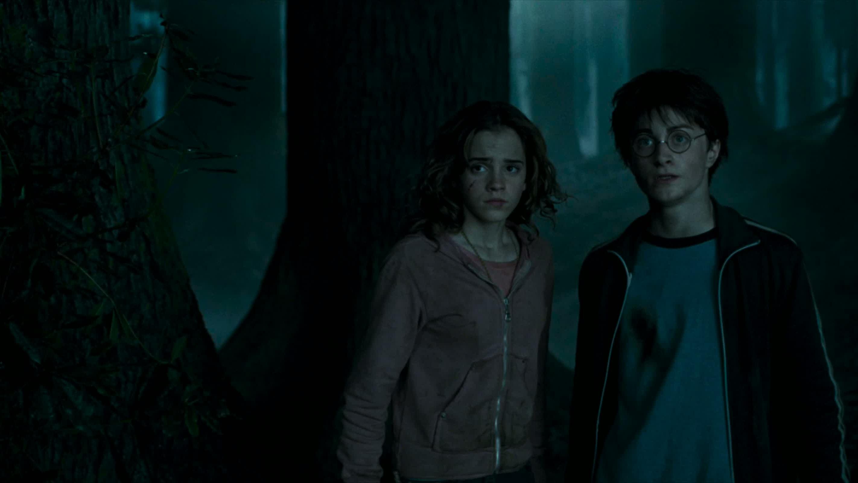 And now we wait. - Harry Potter and the Prisoner of Azkaban | Clip.Cafe