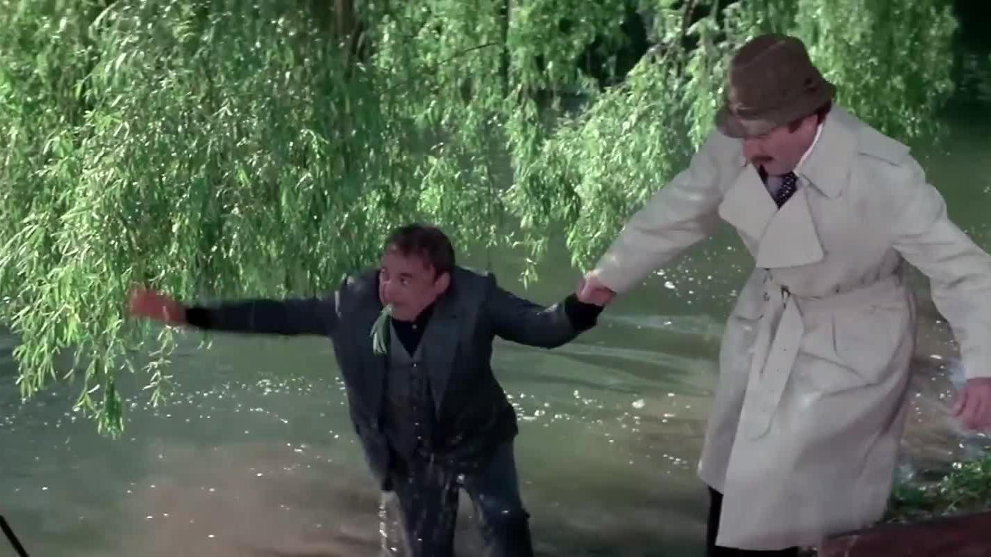 "Are you alright, former chief inspector?" - The Pink Panther Strikes ...