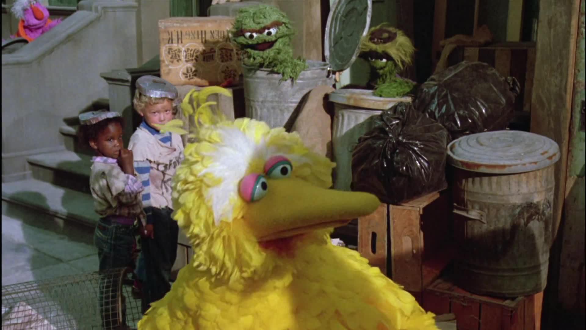 Are you all right, Big? You are Big Bird? Yeah, I guess I am. This is ...