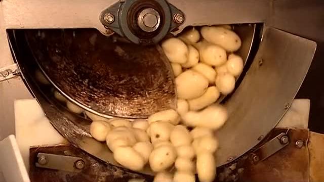 AS THE SKINLESS POTATOESEXIT THE PEELER, WORKERS INSPECT THEM, TOSSING ...